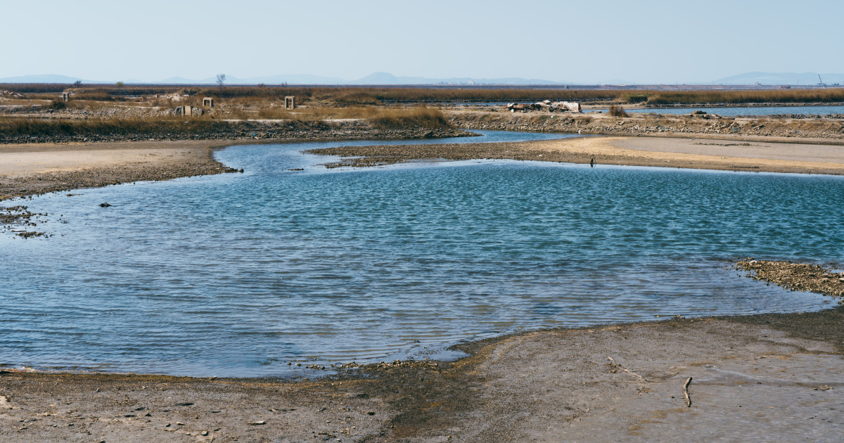 'Remarkable' Artifacts Unearthed During Hurricane Helene Cleanup - Men ...