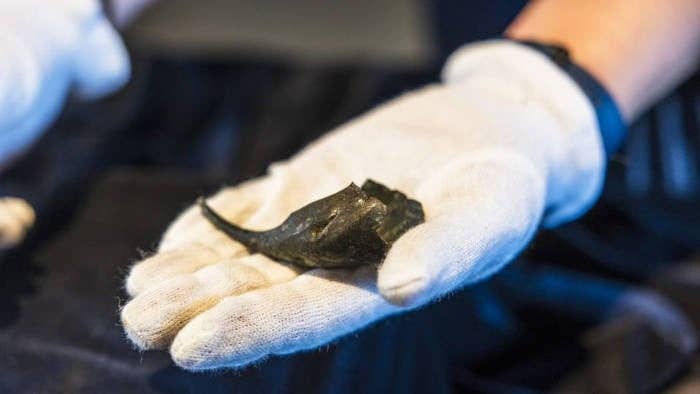 Archaeolgists Find Roman Soldier's Purse with 'Logistical Cash' - Men's ...