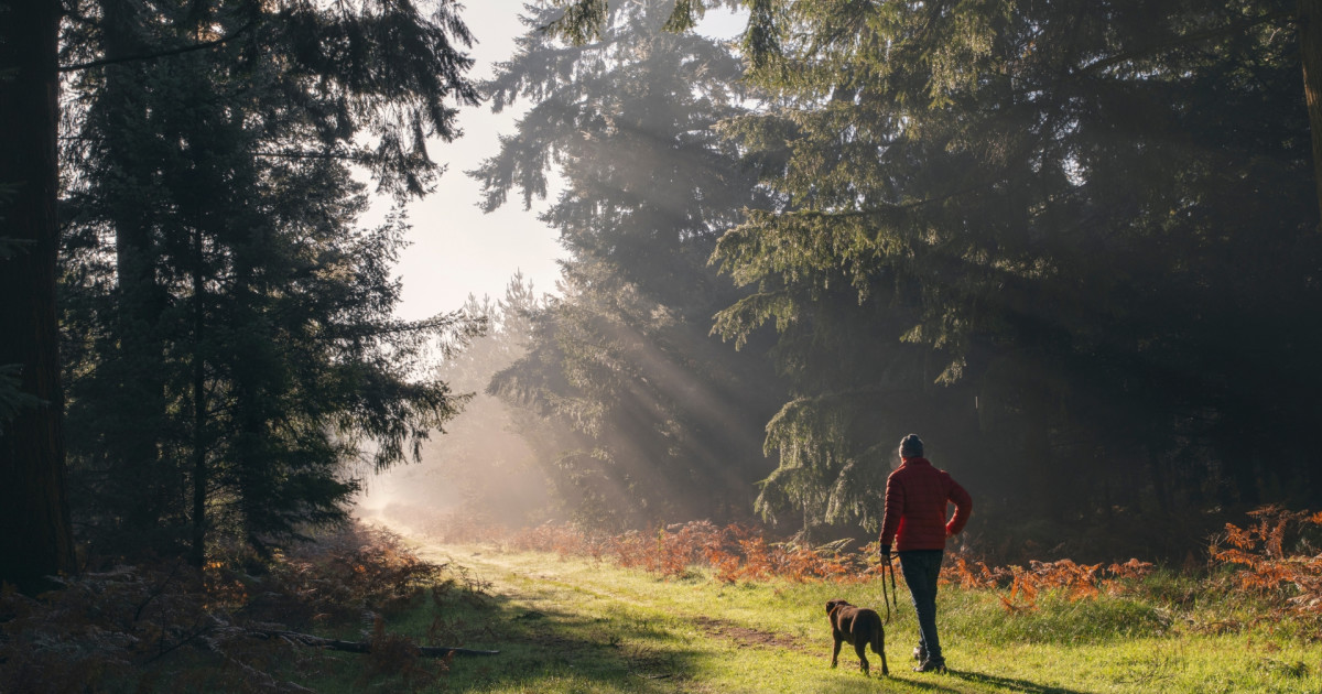 Andrew Huberman’s Morning Trick for Peak Alertness - Men's Journal