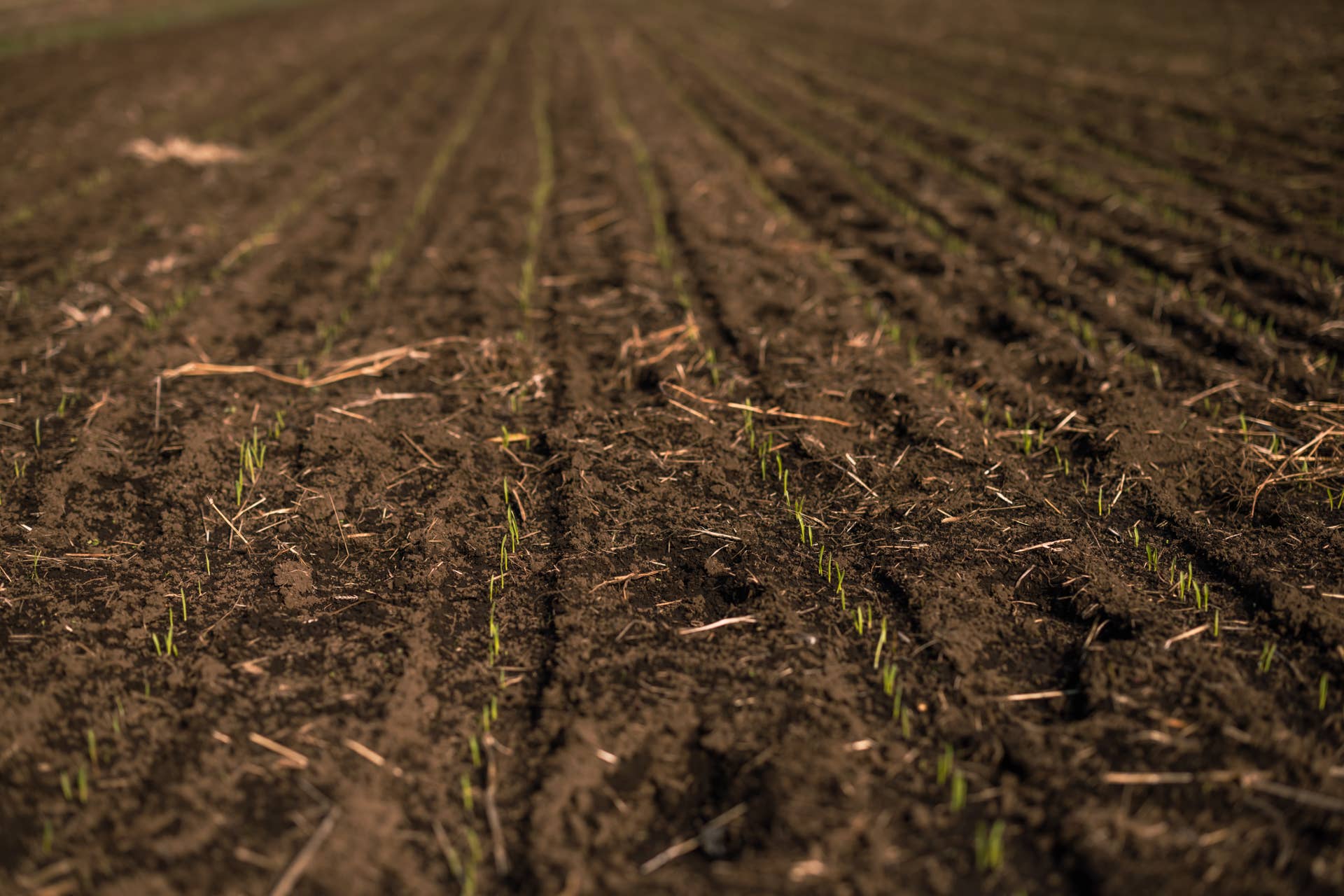 Soil DNA Reveals Prehistoric Medicine Recipe - Men's Journal