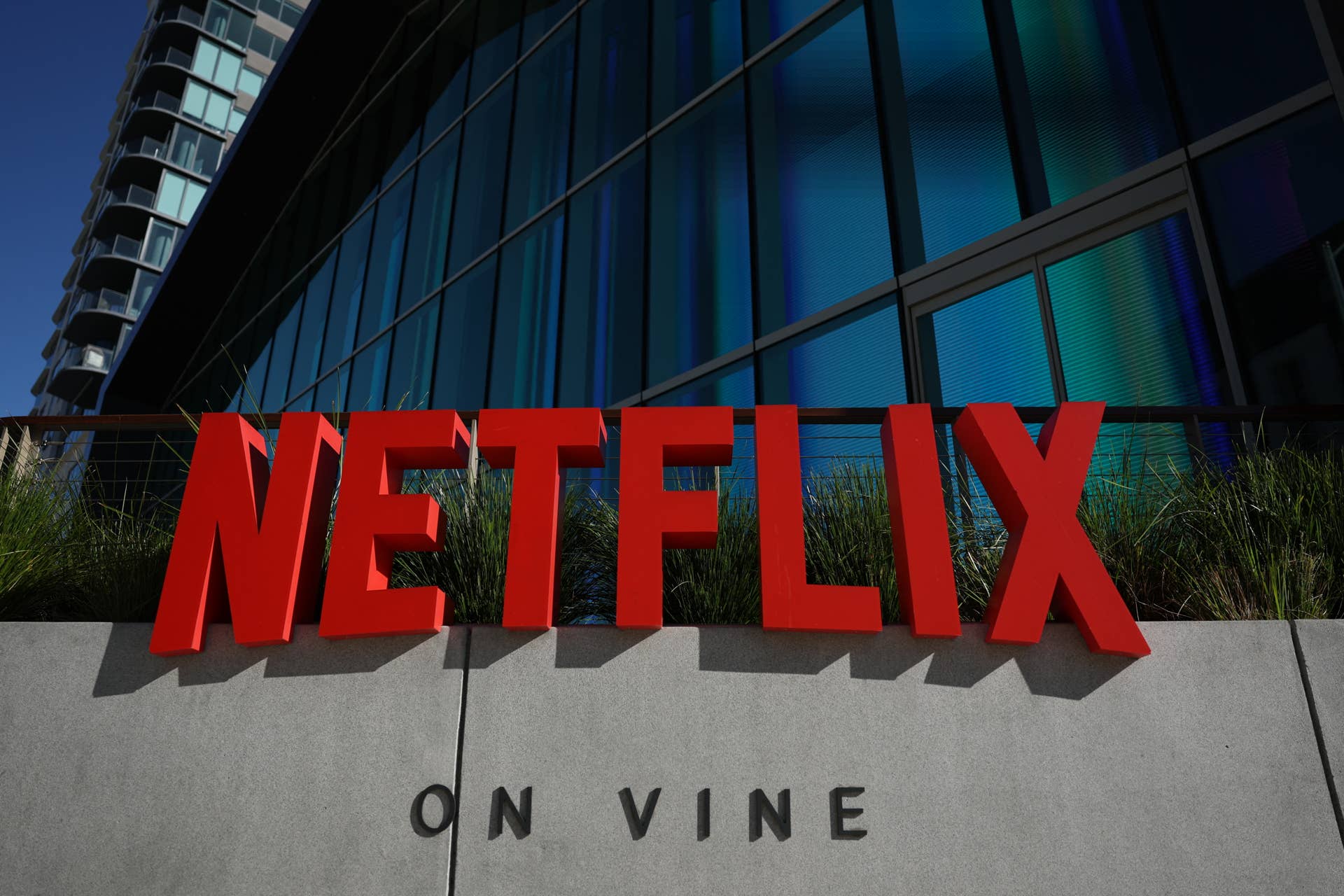 Netflix Merger Panic: Viral Post Begs Fans to 'Start Collecting ...
