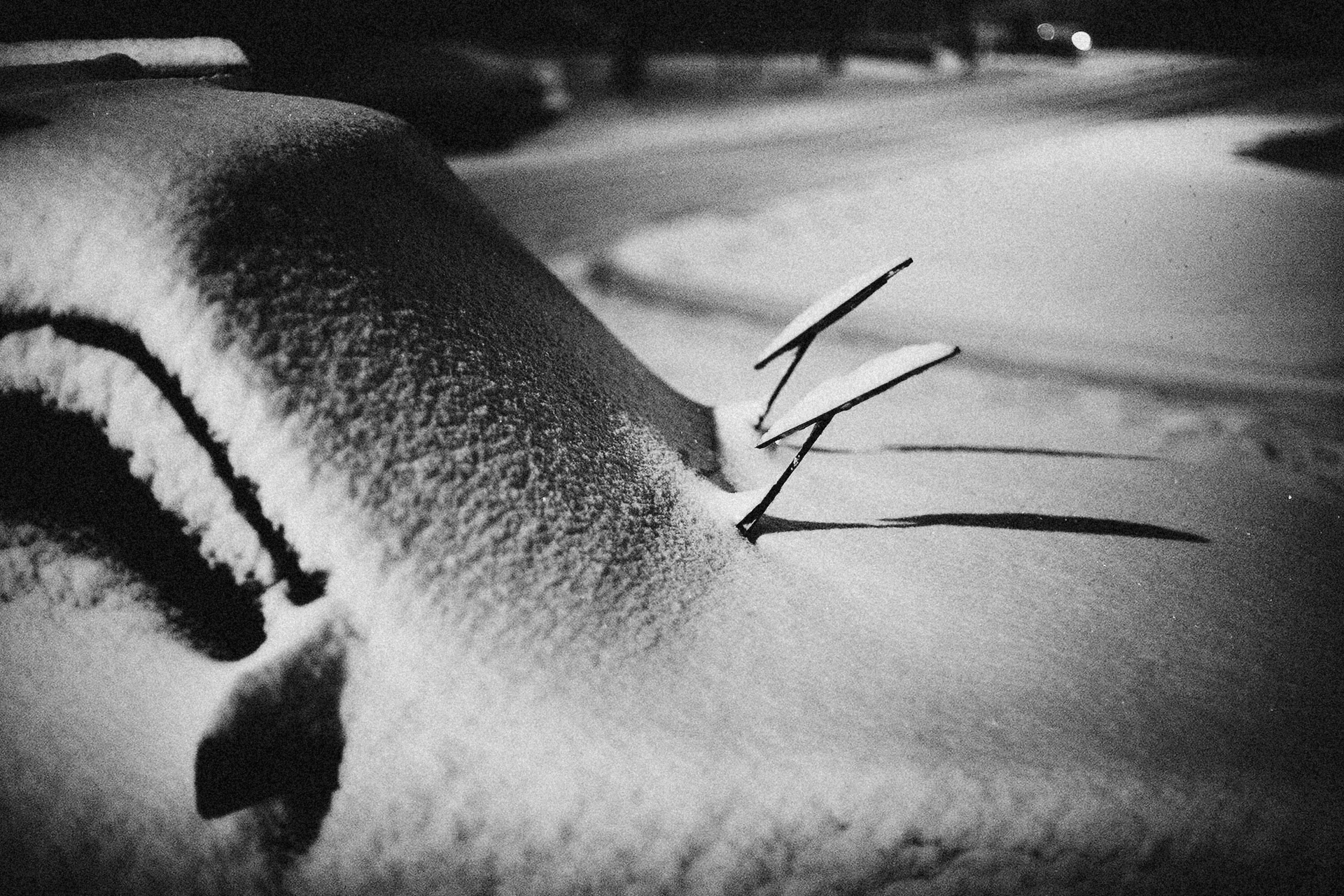 Everyone Puts Their Windshield Wipers Up in the Snow—Here’s Why You ...