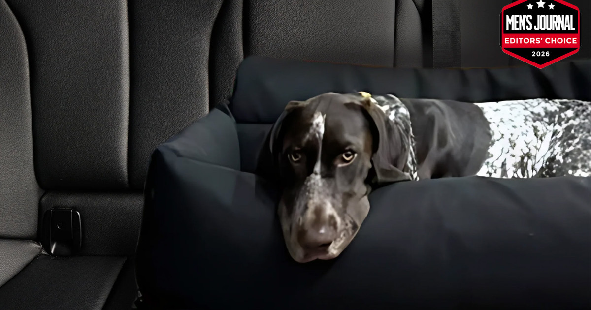 Black Lab Venture Tough Car Bed Review: The Best Dog Bed for Cars ...