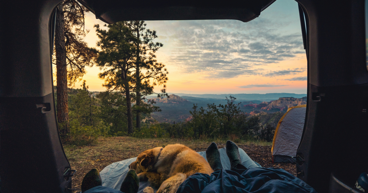 This $1,000 Box Converts Your SUV Into a Weekend Camper - Men's Journal