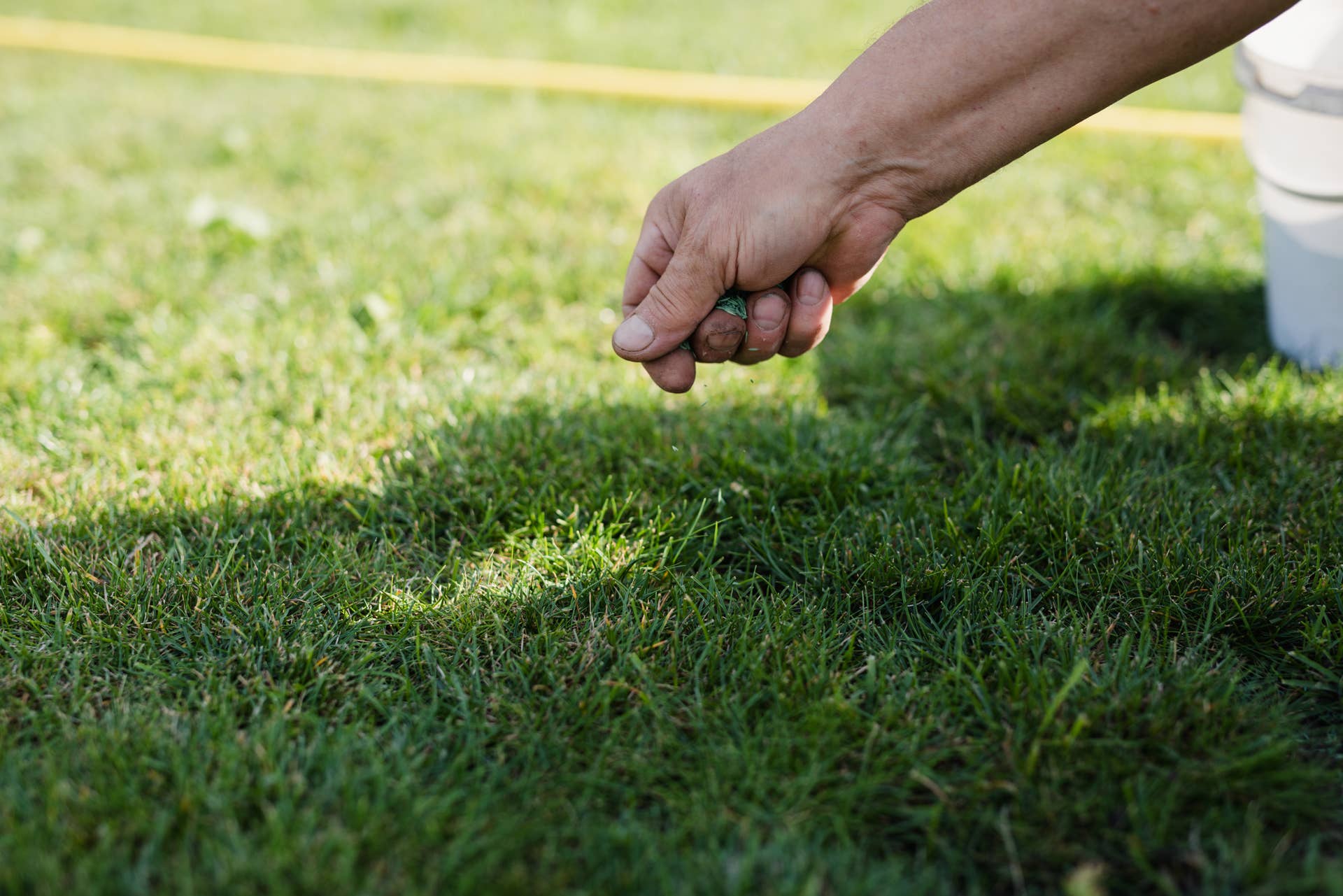 Achieve 95% Germination Rates With This Seeding Method - Men's Journal