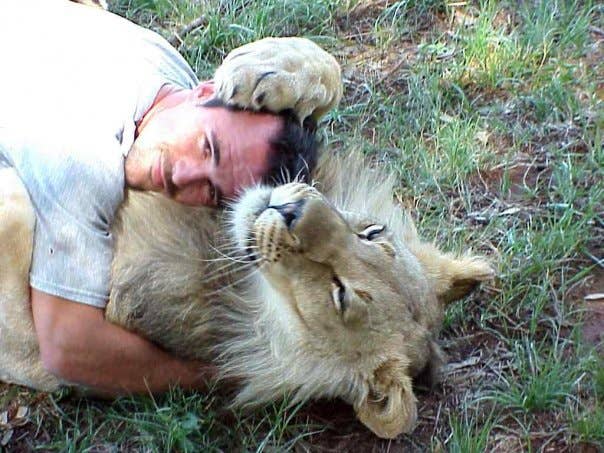 Lions Hugging Human