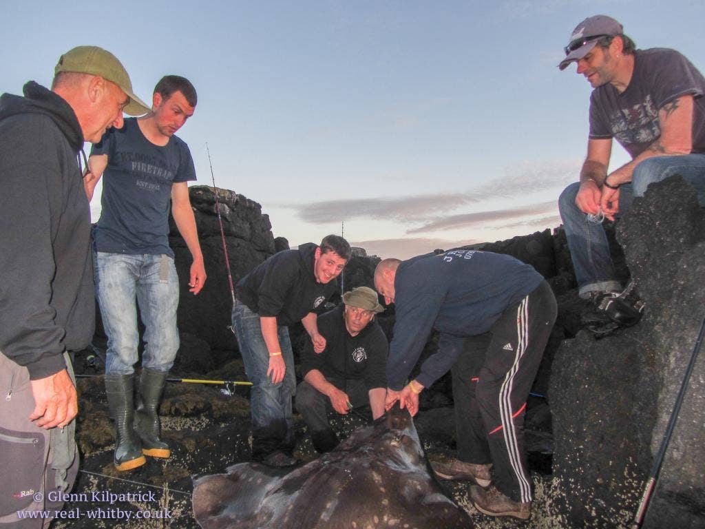 Common skate seen as British fishing record - Men's Journal