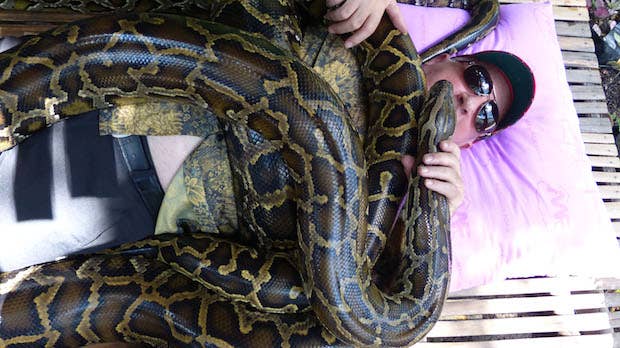 Zoo's pythons double as massage therapists - Men's Journal