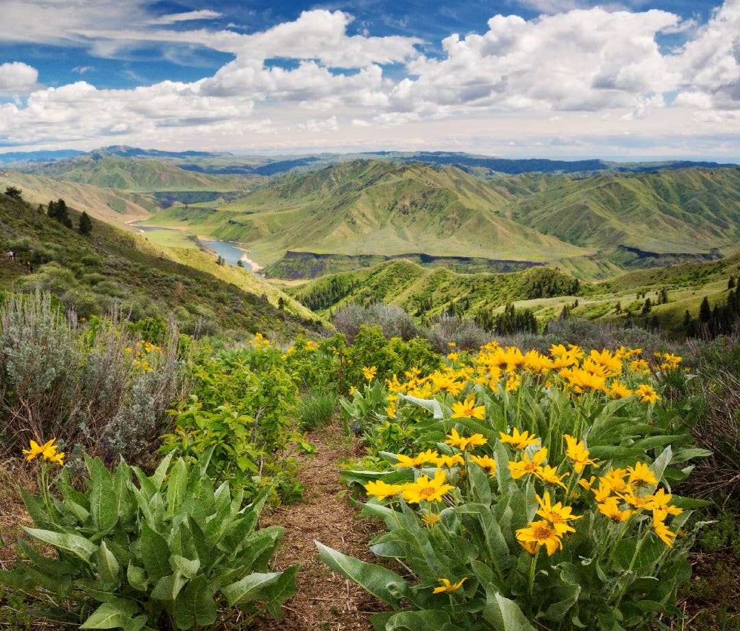 10 Wild Things to Do in Boise, from Brewery-Hopping to Skiing, Biking ...