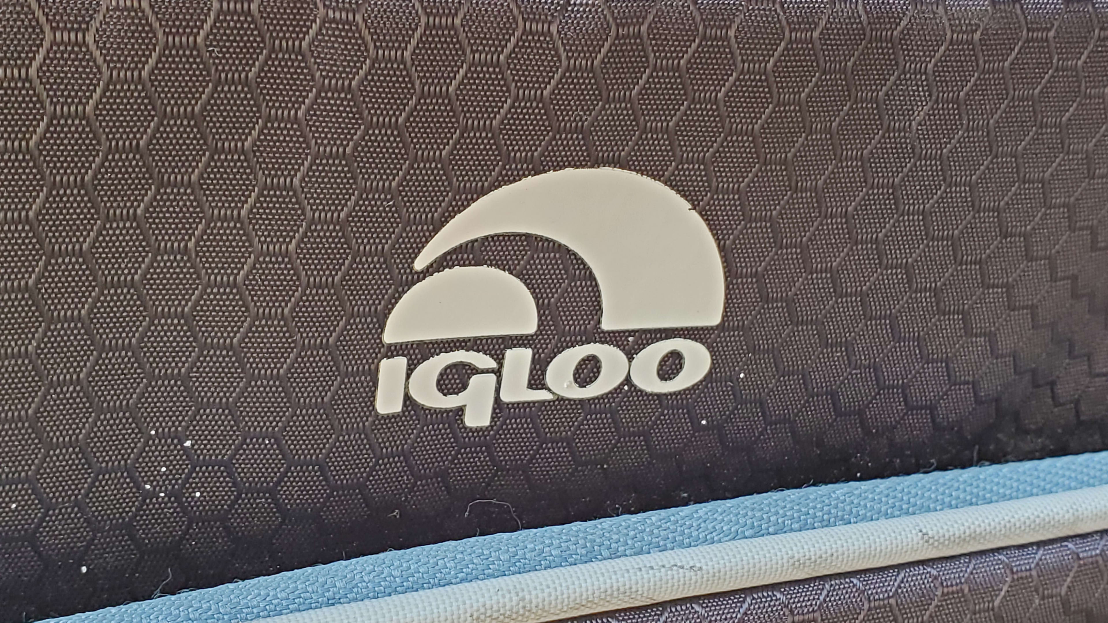 igloo logo cooler