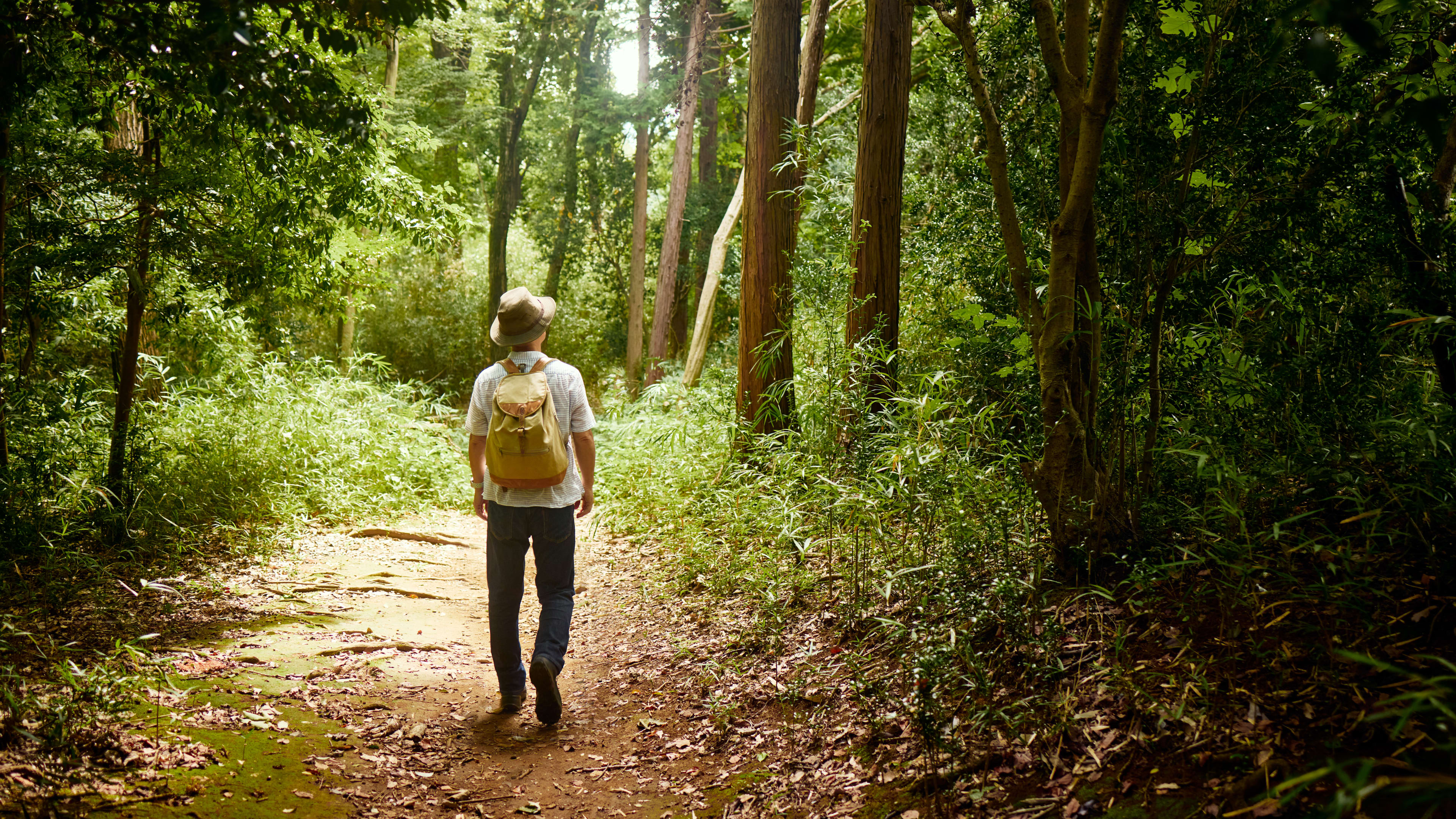 Study: New Psychedelic Drug Combo Improves PTSD - Men's Journal