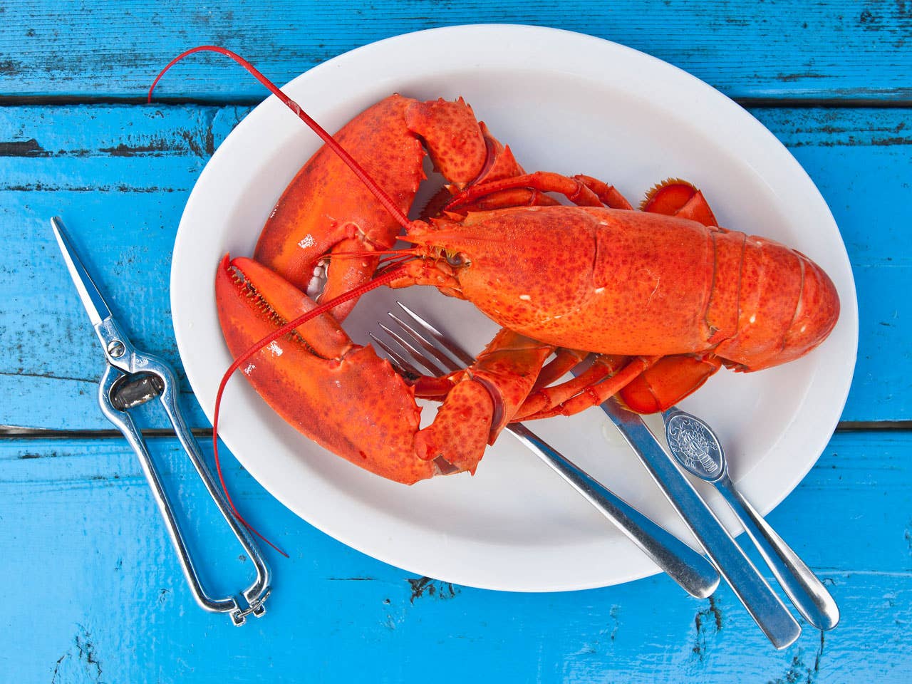 5 Steps to Perfectly Crack a Lobster - Men's Journal