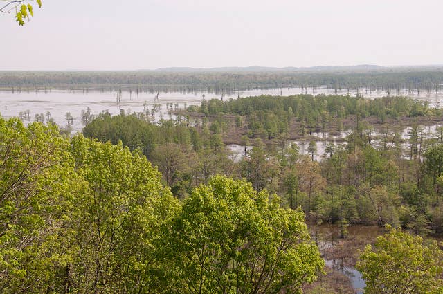 Mingo Swamp, Missouri - Men's Journal