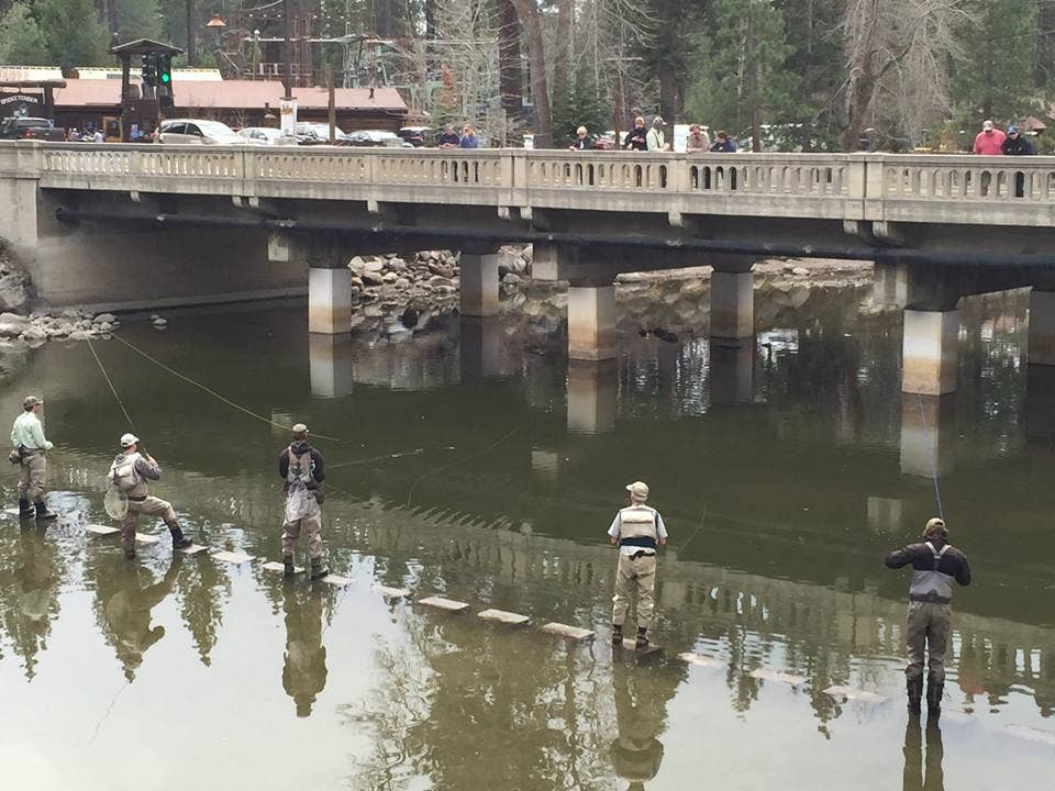 Lake Tahoe trout trapped by drought rescued by fishermen - Men's Journal