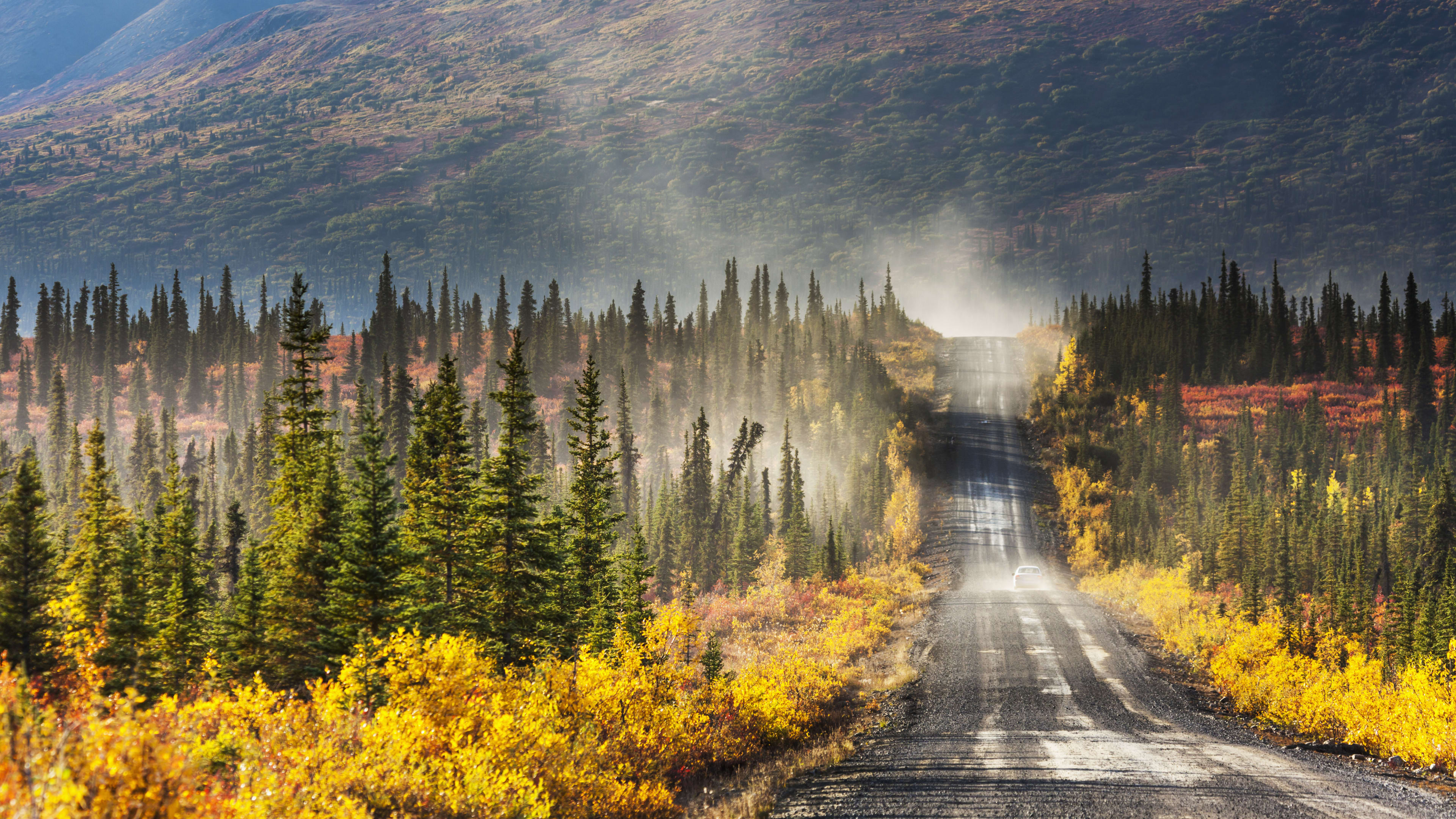 Articles by Basem Wasef - Men's Journal