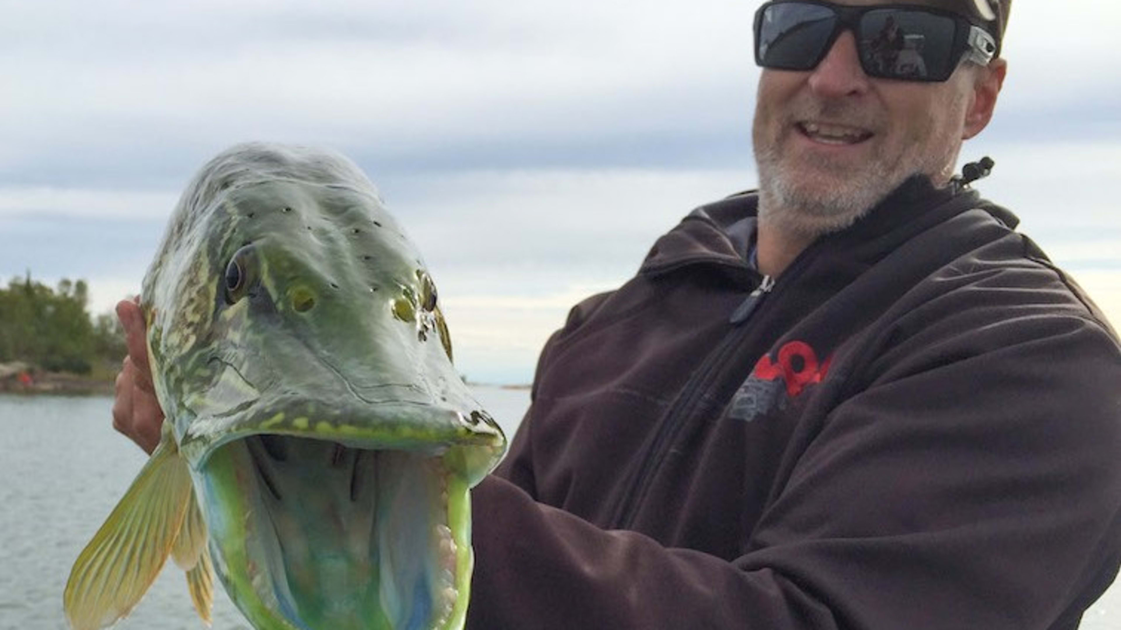 Mystery surrounding neon-green pike appears to have been solved - Men's ...