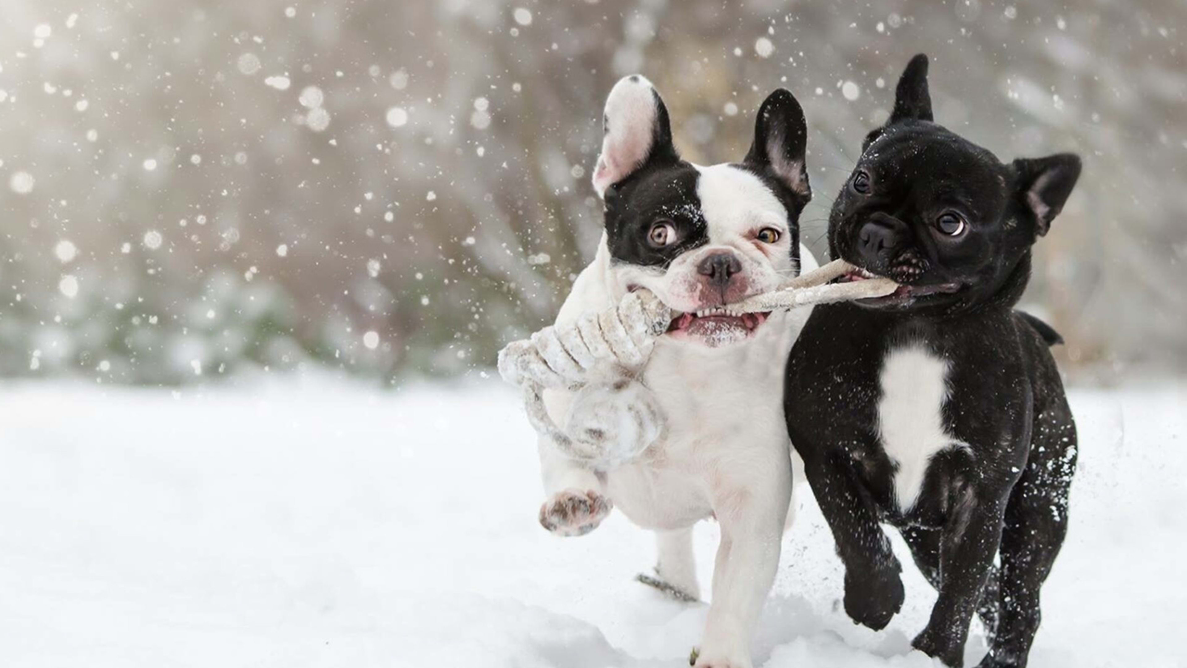 Anywhere workouts - Men's Journal