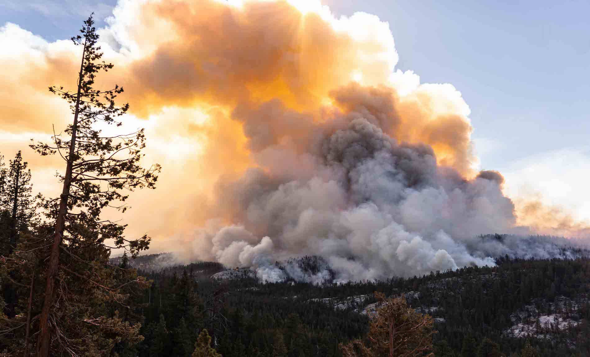 NWS Issues 'Fire Danger' Warning For U.S. State - Men's Journal