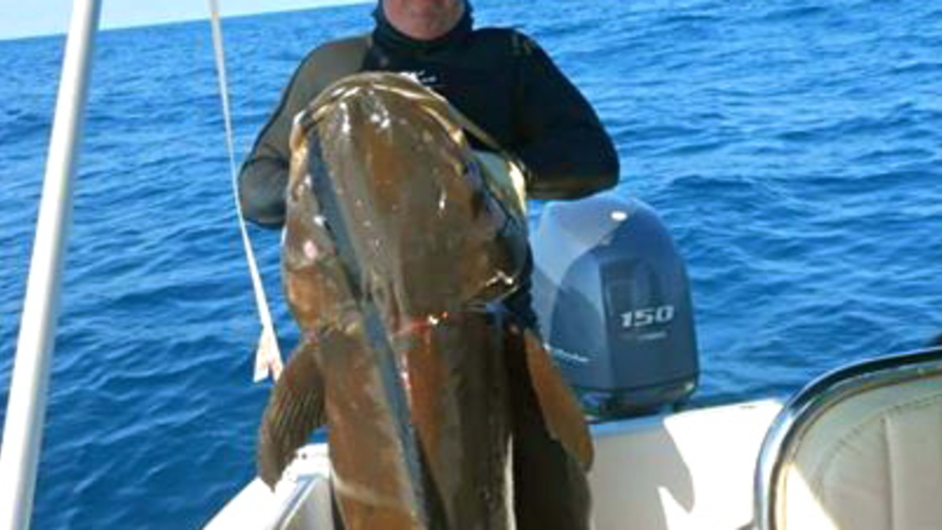 Enormous cobia speared off Brazil nearly 30 pounds heavier than record - Men's Journal