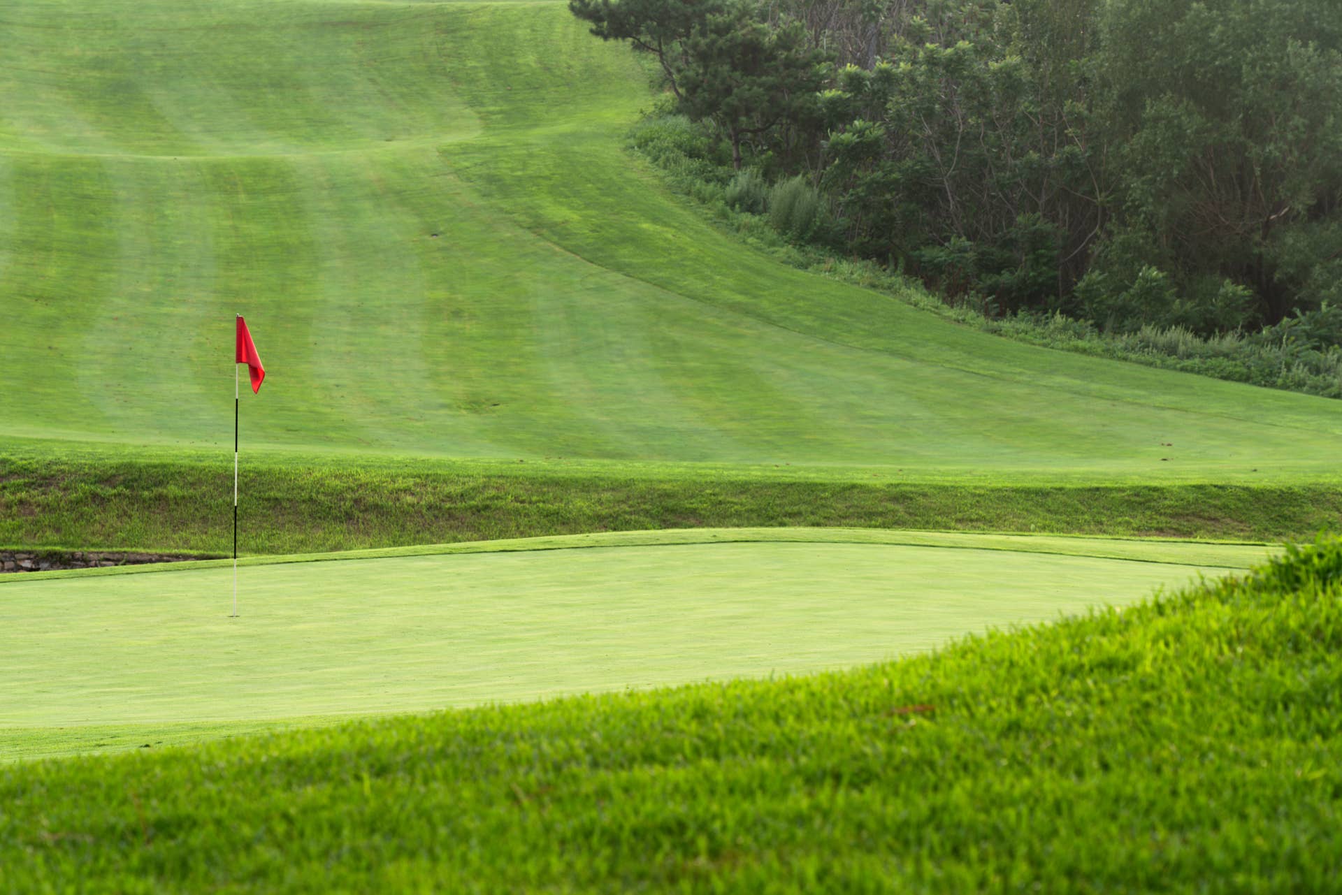 Wild Photos Show Small Plane Crashing Upside-Down on Golf Course - Men ...