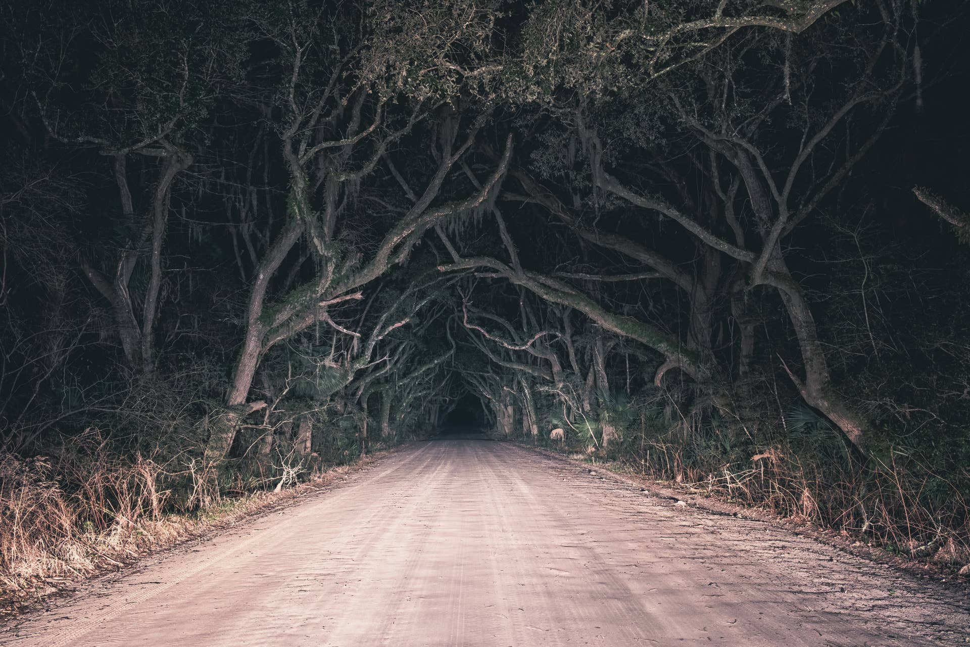 These Are the Most Haunted Roadways in the United States, Report Finds ...