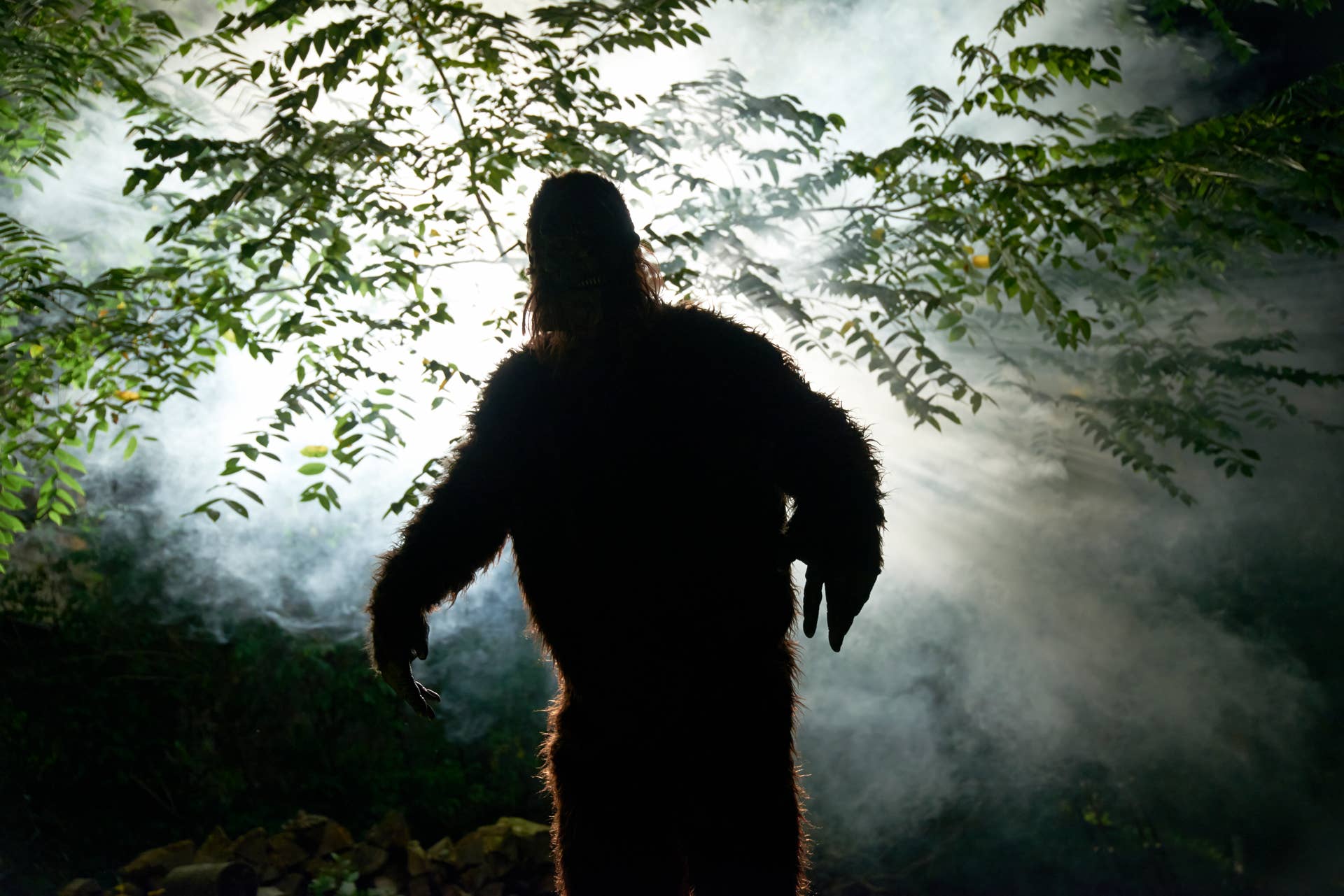 Hiker in Foreign Country Claims to Have Picture of Bigfoot - Men's Journal