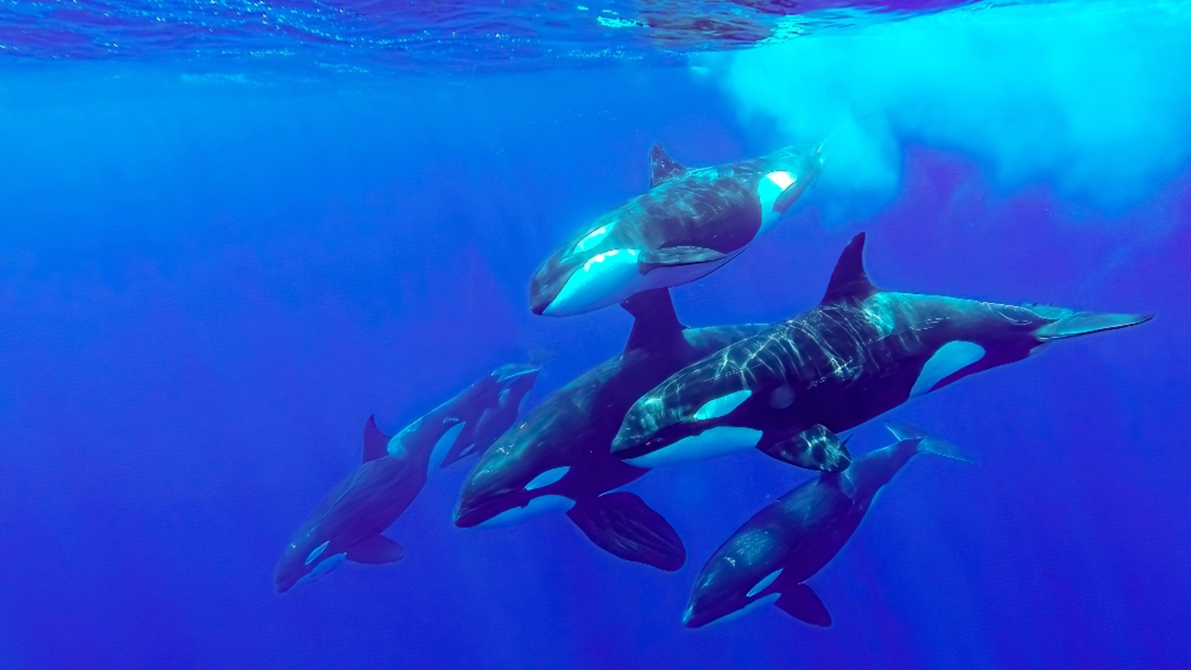 boating - Men's Journal