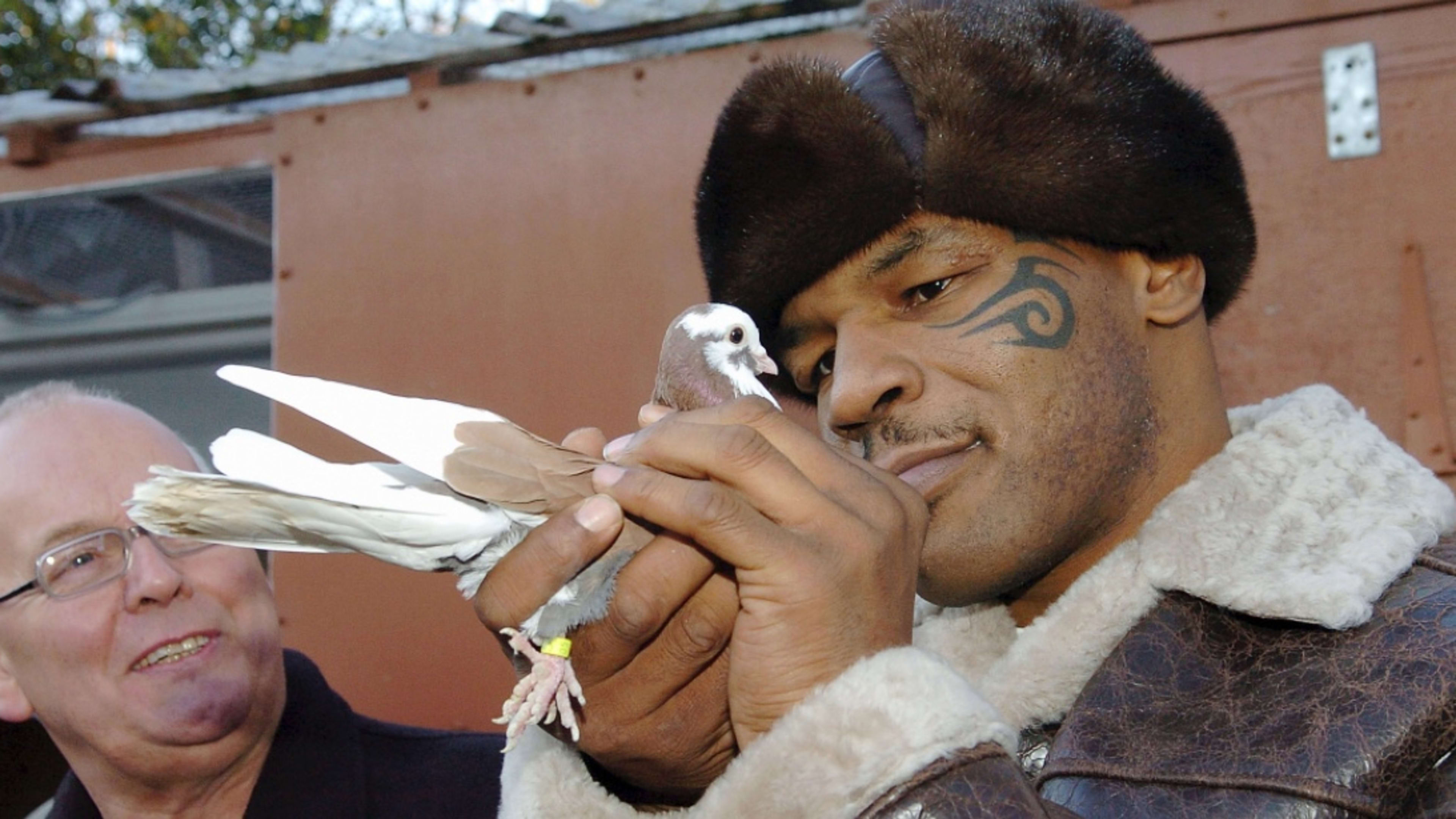 Mike Tyson Just Took His Love for Pigeons to the Next Level - Men's Journal
