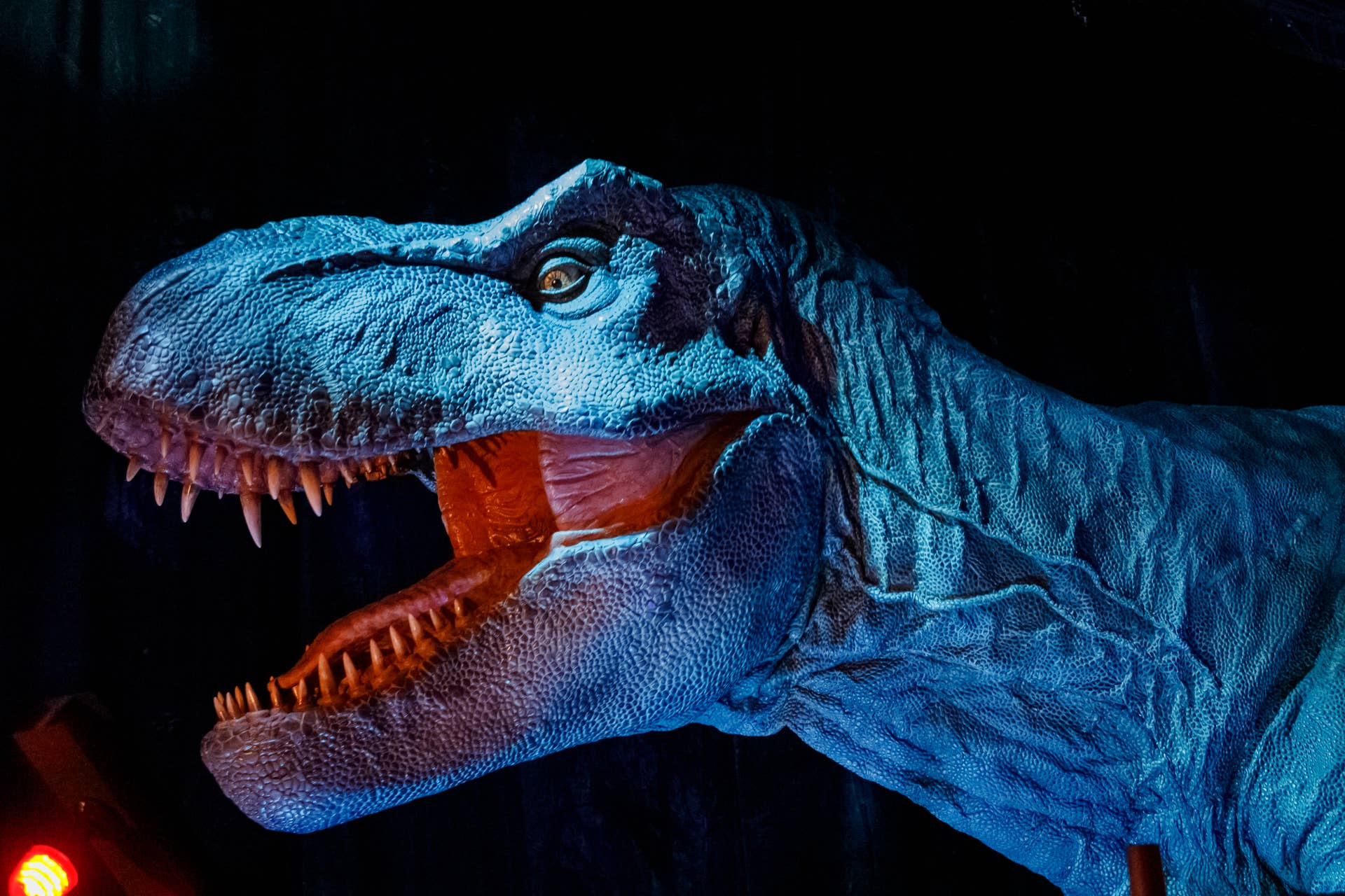 Here's Everything We Know About the Upcoming 'Jurassic World' Movie ...