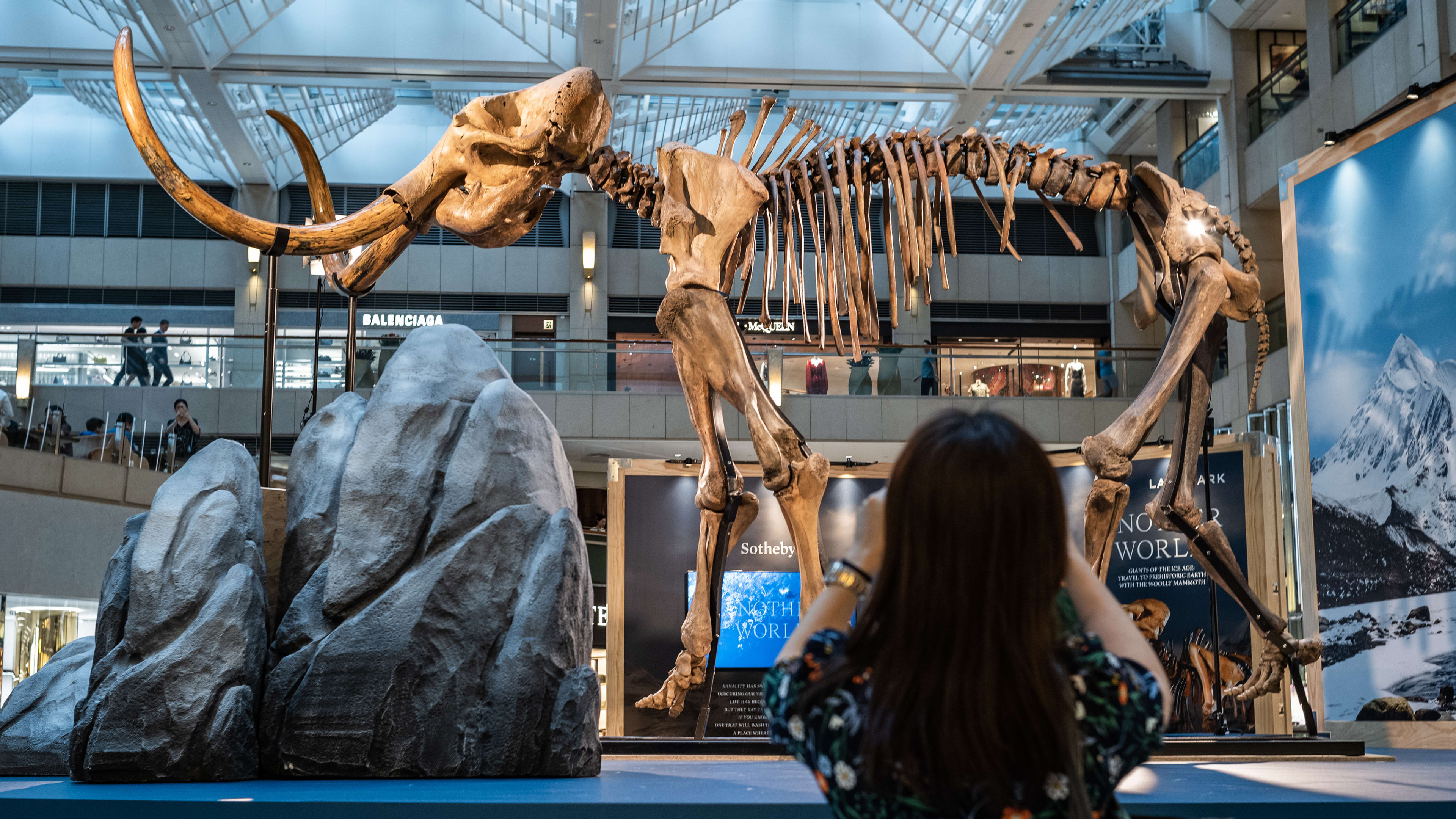 Can Dire Wolf Scientists Bring Back the Dinosaurs & Woolly Mammoth ...