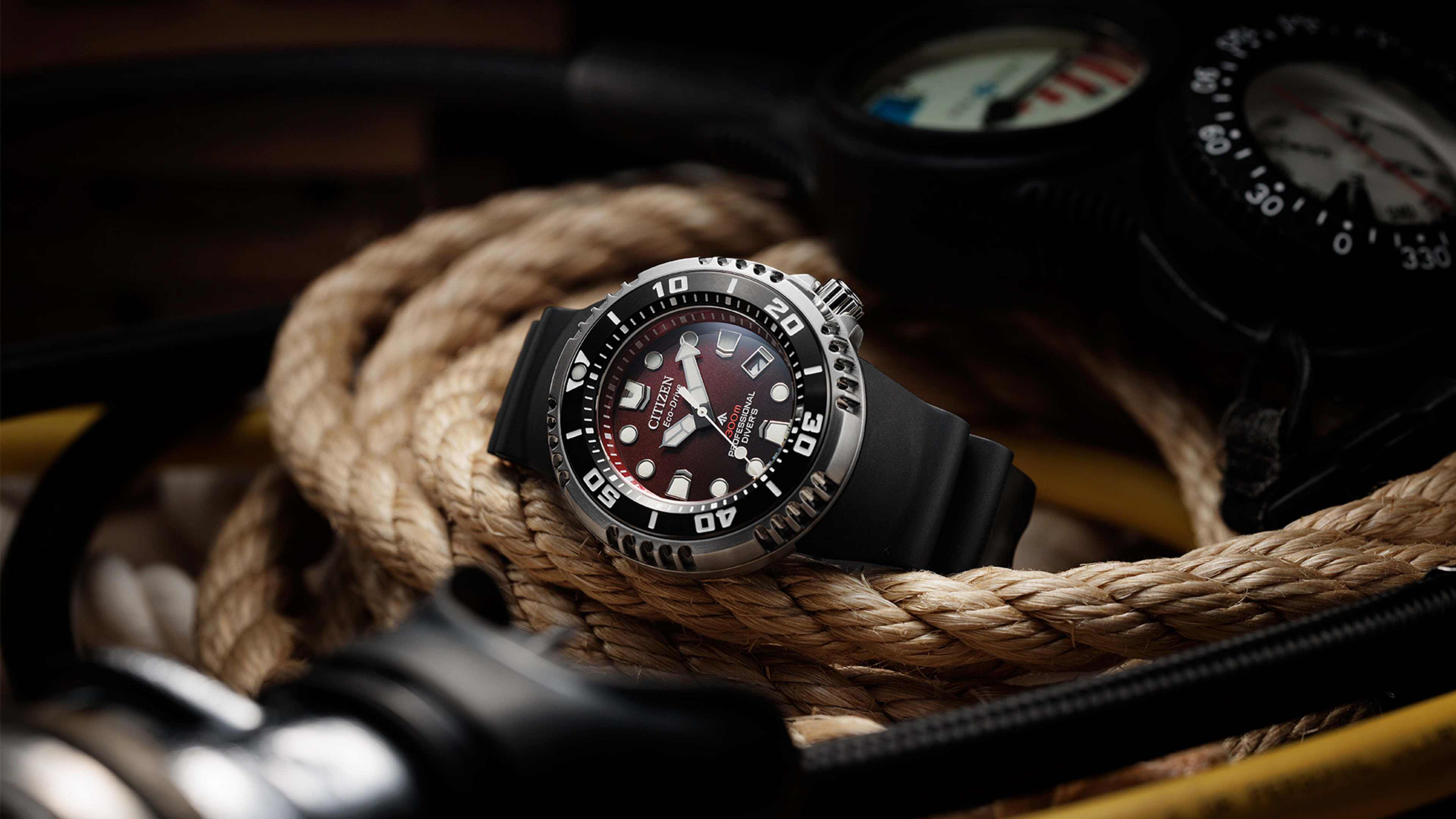 Citizen Eco-Drive Promaster Professional Diver 300 m Watch - Men's Journal