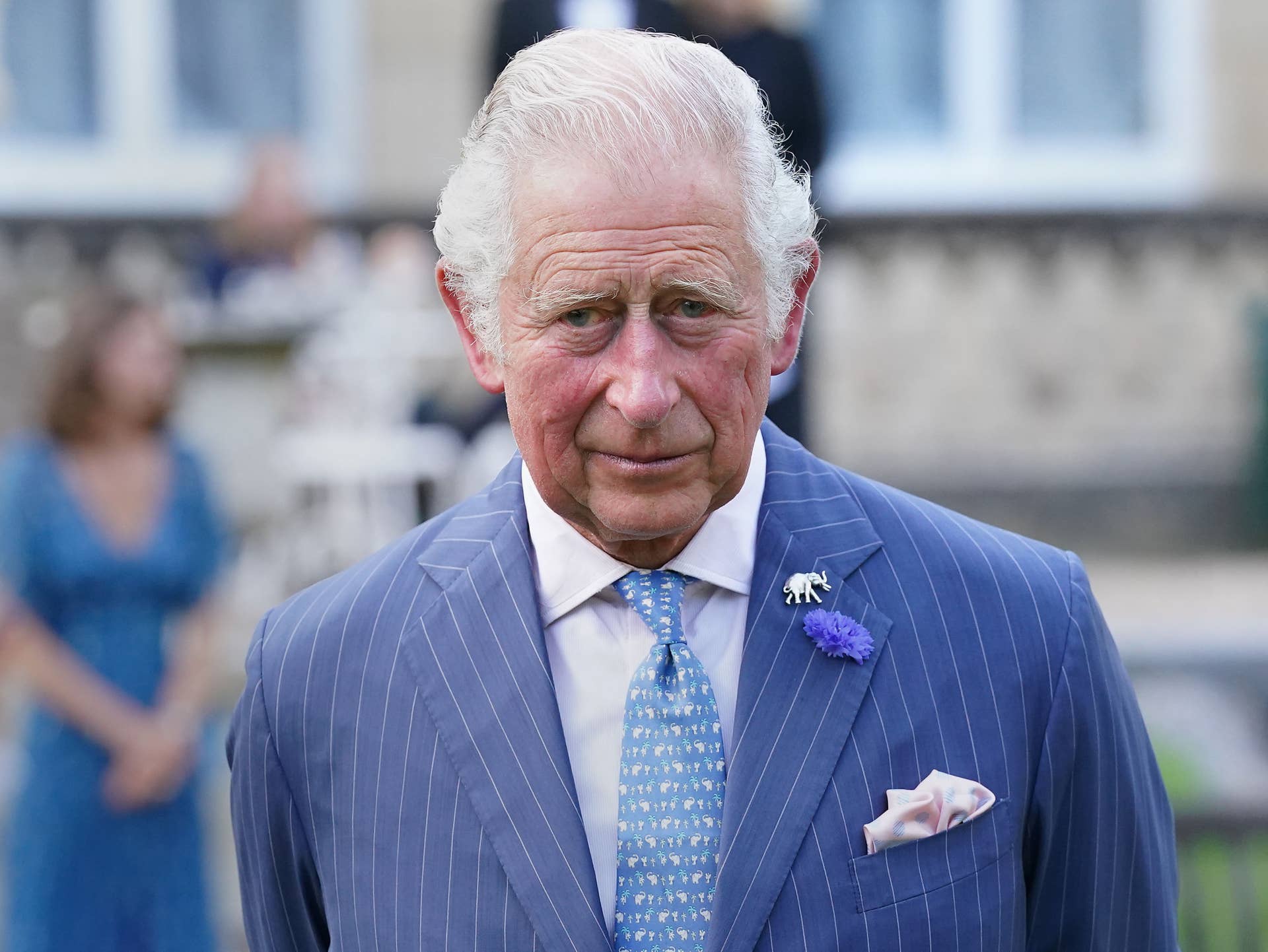 Buckingham Palace Cleverly Rebuts Prince Harry’s Comments About King ...