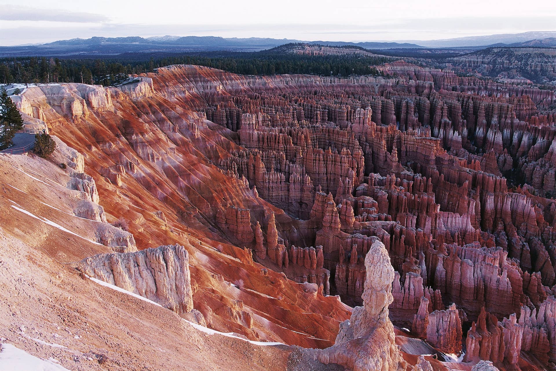 Cat Survives 400-Foot National Park Fall That Killed 2 Hikers - Men's ...
