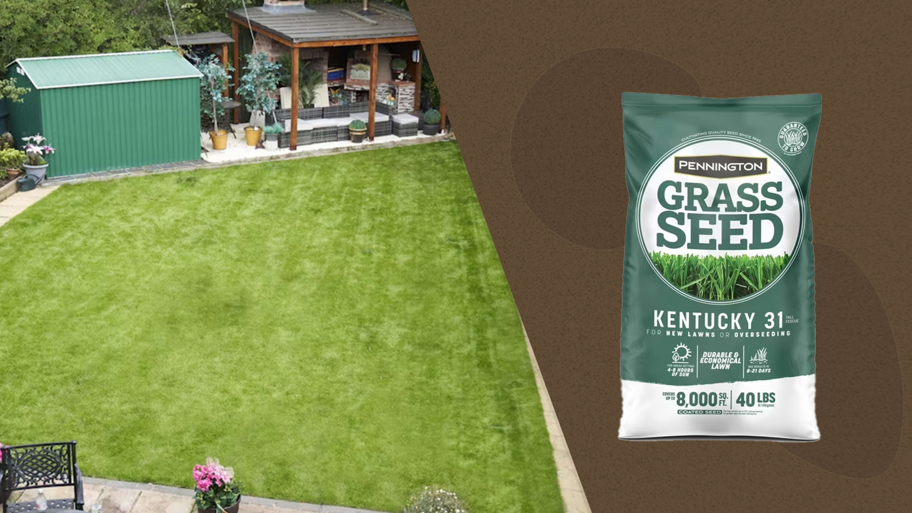 Walmart Has Pennington's Kentucky 31 Grass Seed for 49% Off - Men's Journal