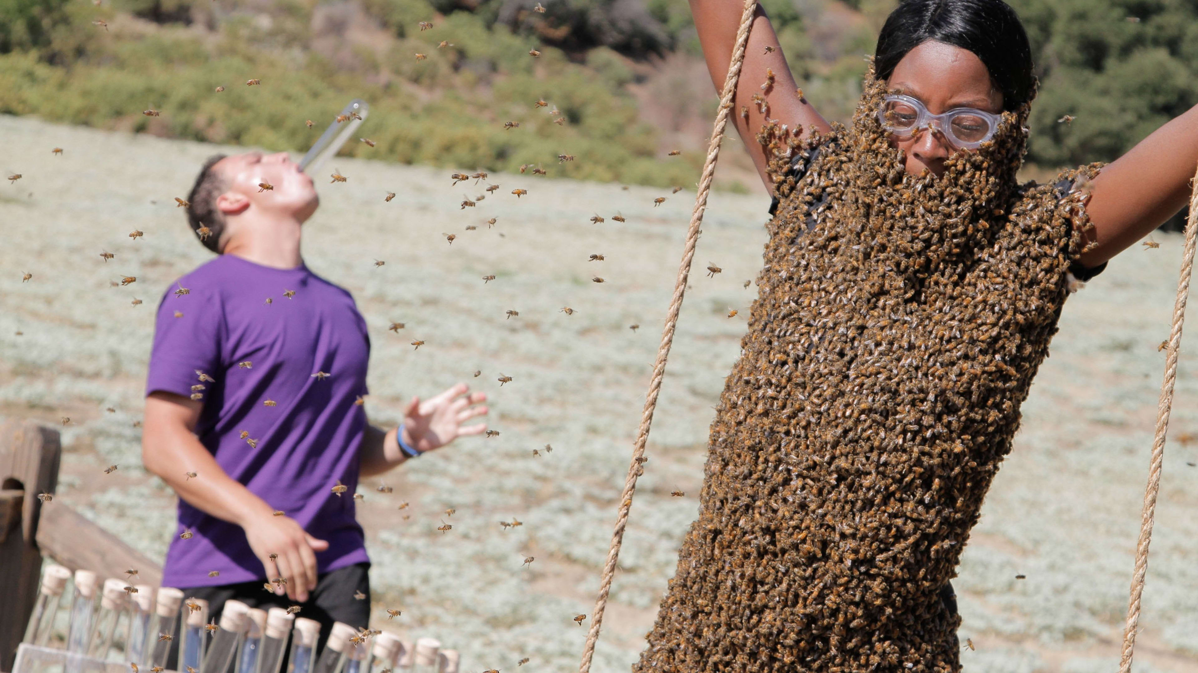 Fear Factor Rebooted With a Twist, and Johnny Knoxville at the Helm - Men's Journal