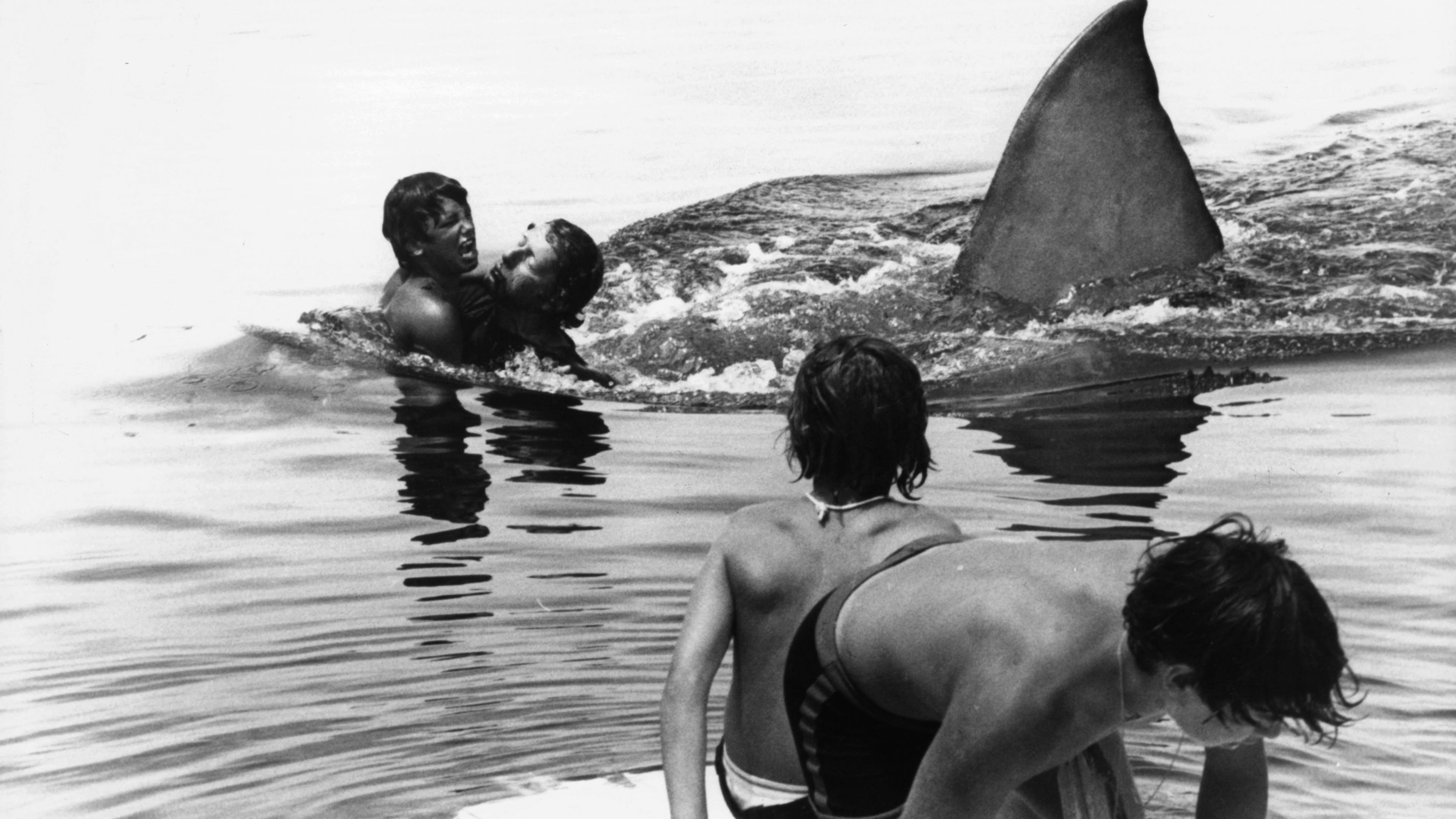 'Jaws’ Child Actor Jay Mello Was Terrified For Years After Filming Key ...