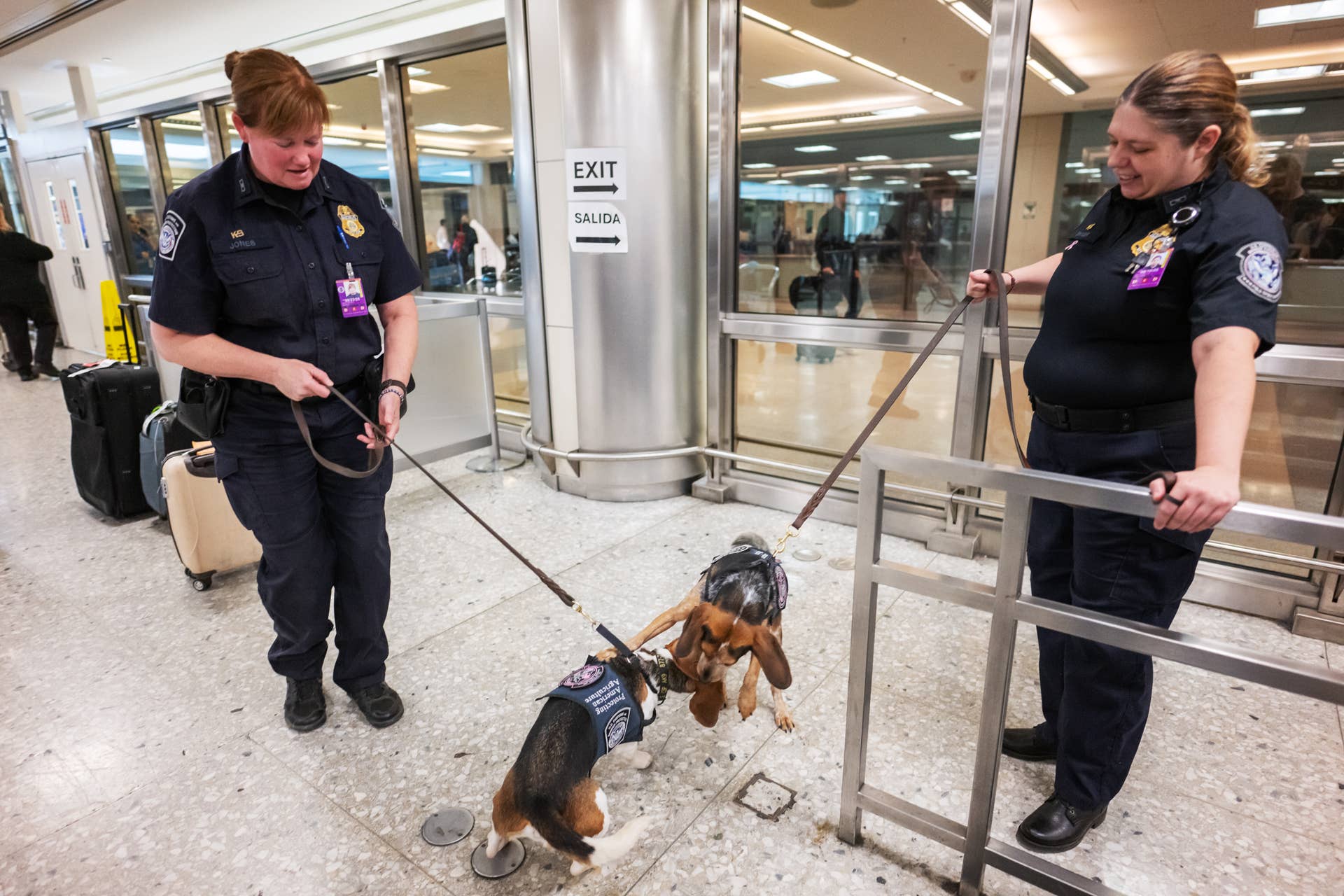 Airport Traveler 'Violently' Kicked 25-Pound Beagle Named Freddie ...