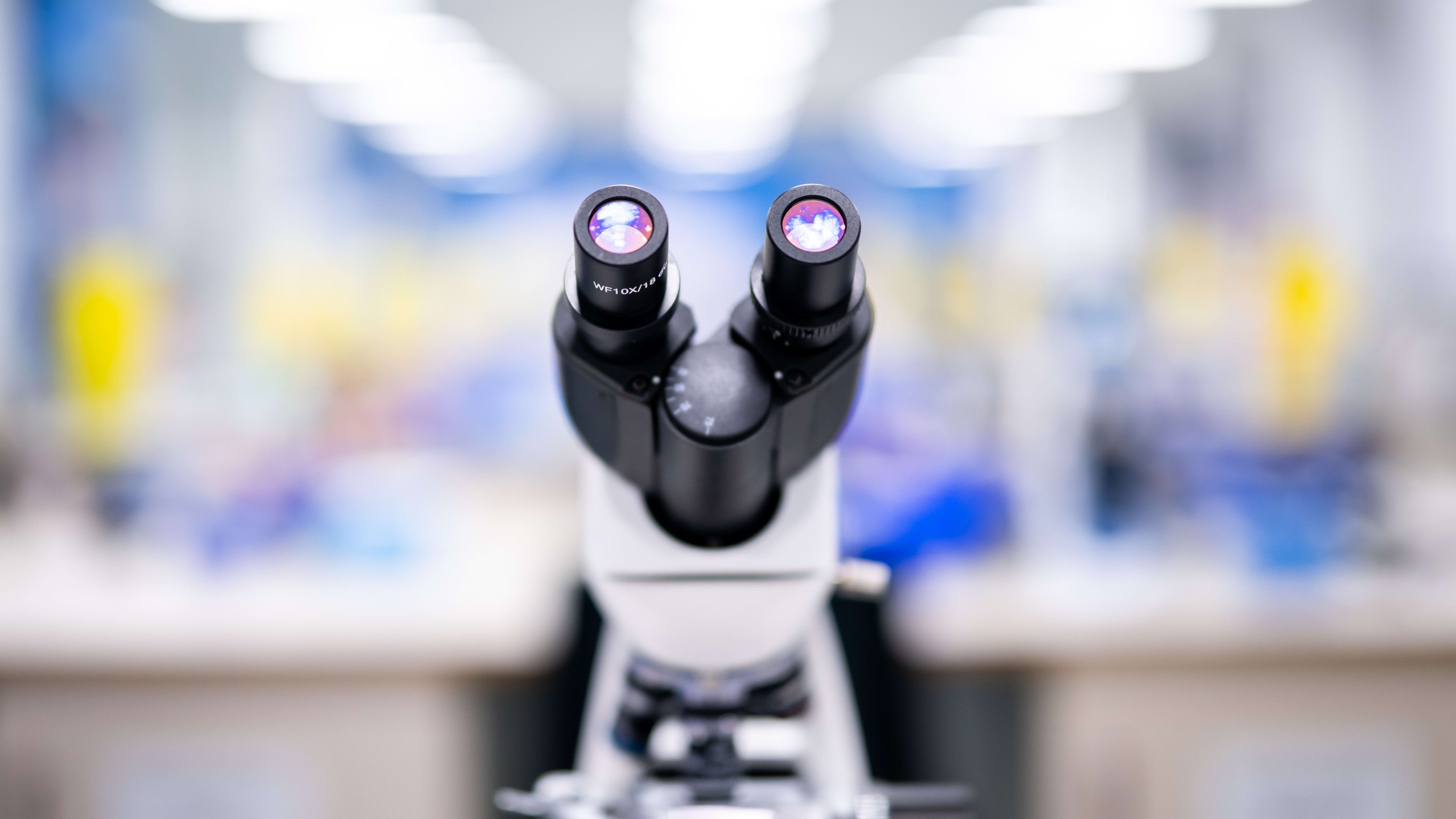 Scientists Just Discovered a Creature That Breaks the Rules of Life ...