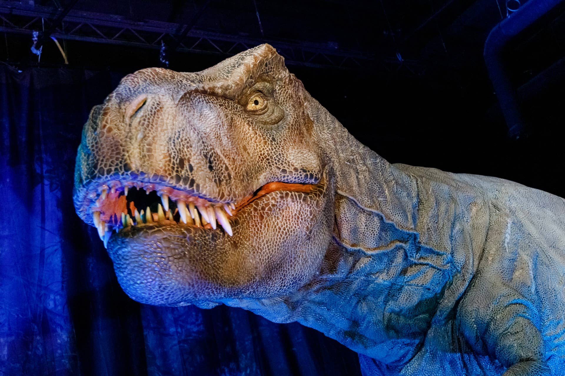 'Jurassic World Rebirth' Could Make $260 Million This Week - Men's Journal