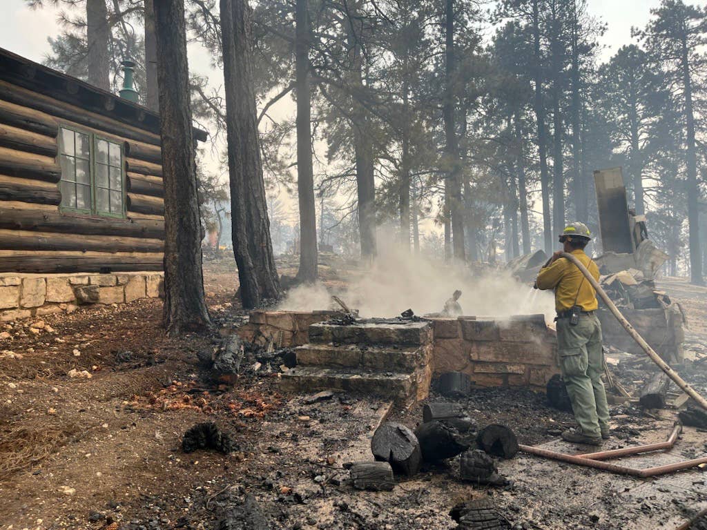 Historic Grand Canyon Burro Statue Survives Deadly Wildfires - Men's ...