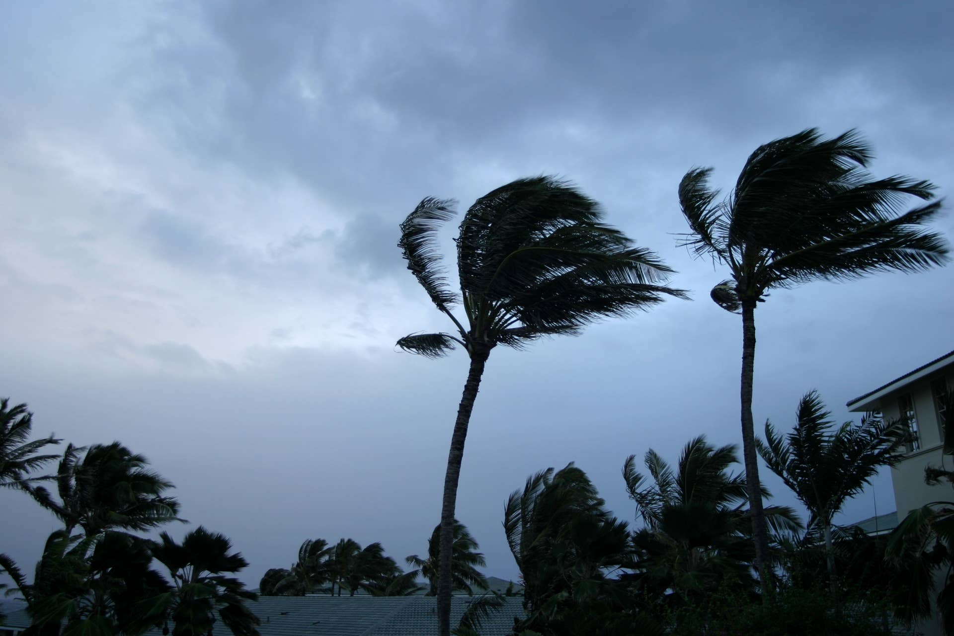 Tropical Storm Erin Officially Formed Monday Morning - Men's Journal