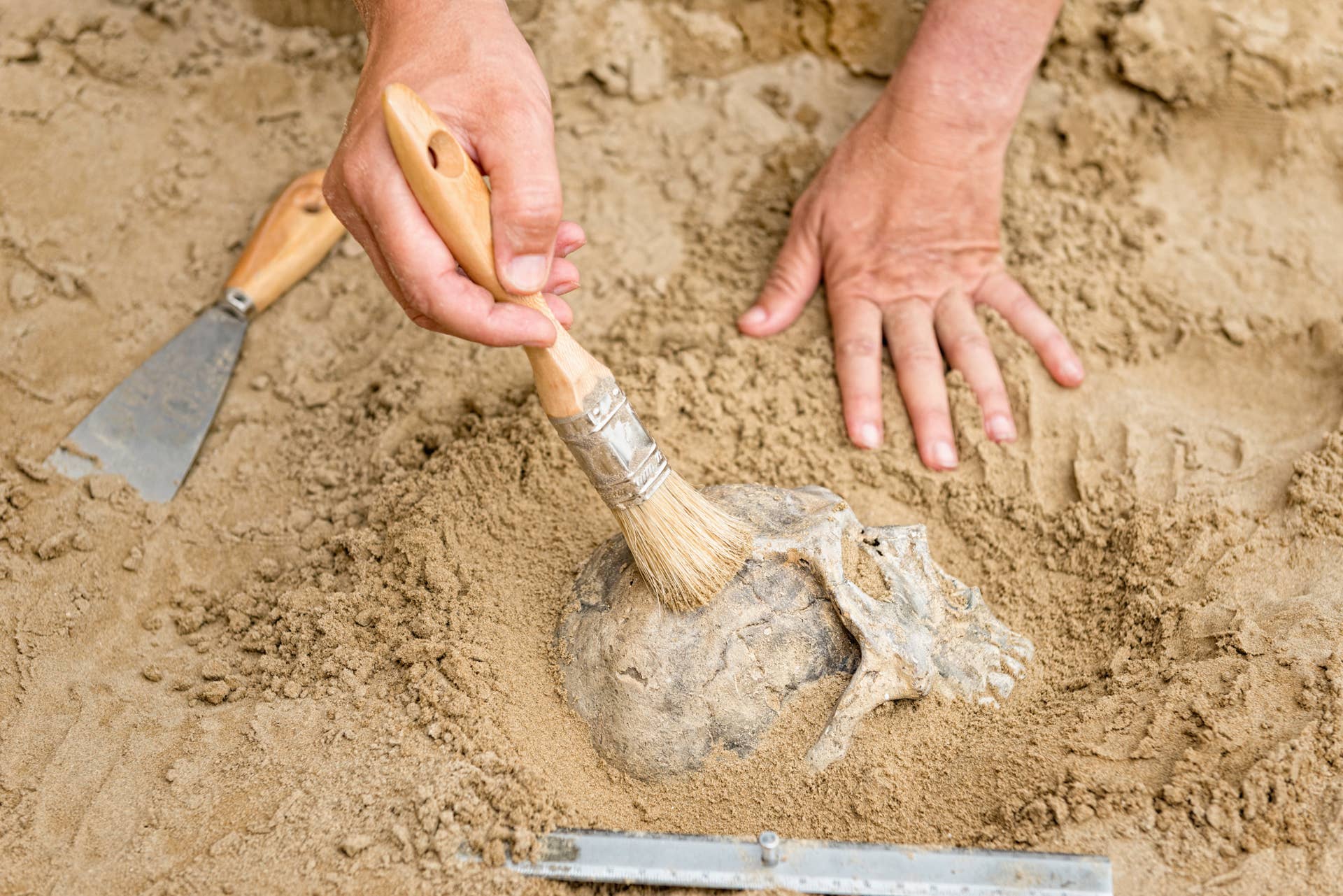 New Fossil Suggests Humans Didn't Originate in Africa - Men's Journal