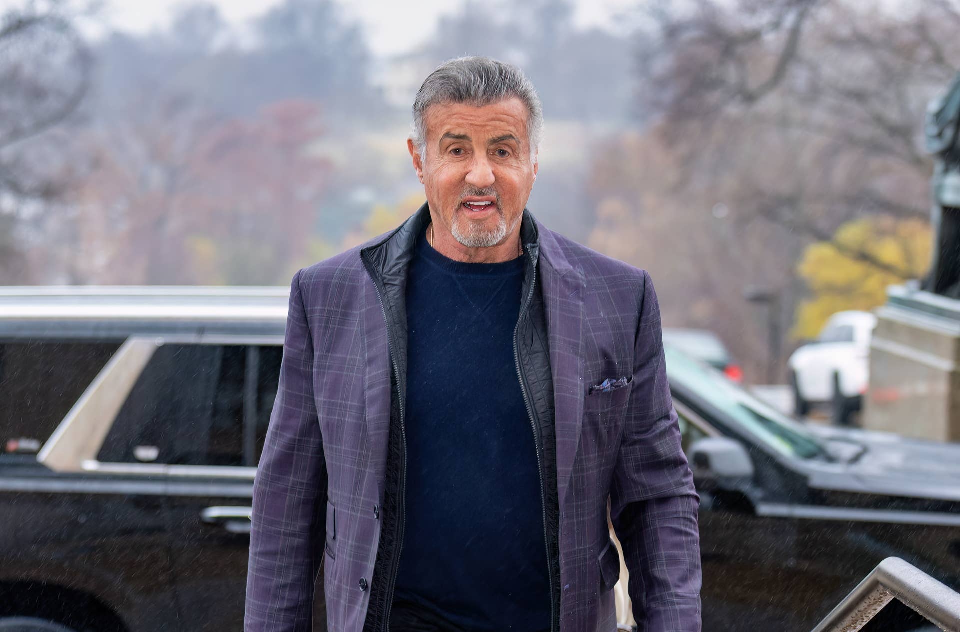 Another Sylvester Stallone Movie Gets Hit With a Shocking 0% Score on ...