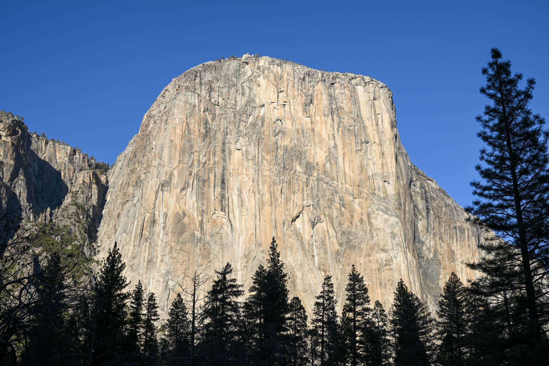 ‘Sole Witness’ of Balin Miller’s Fatal El Capitan Fall Details ...