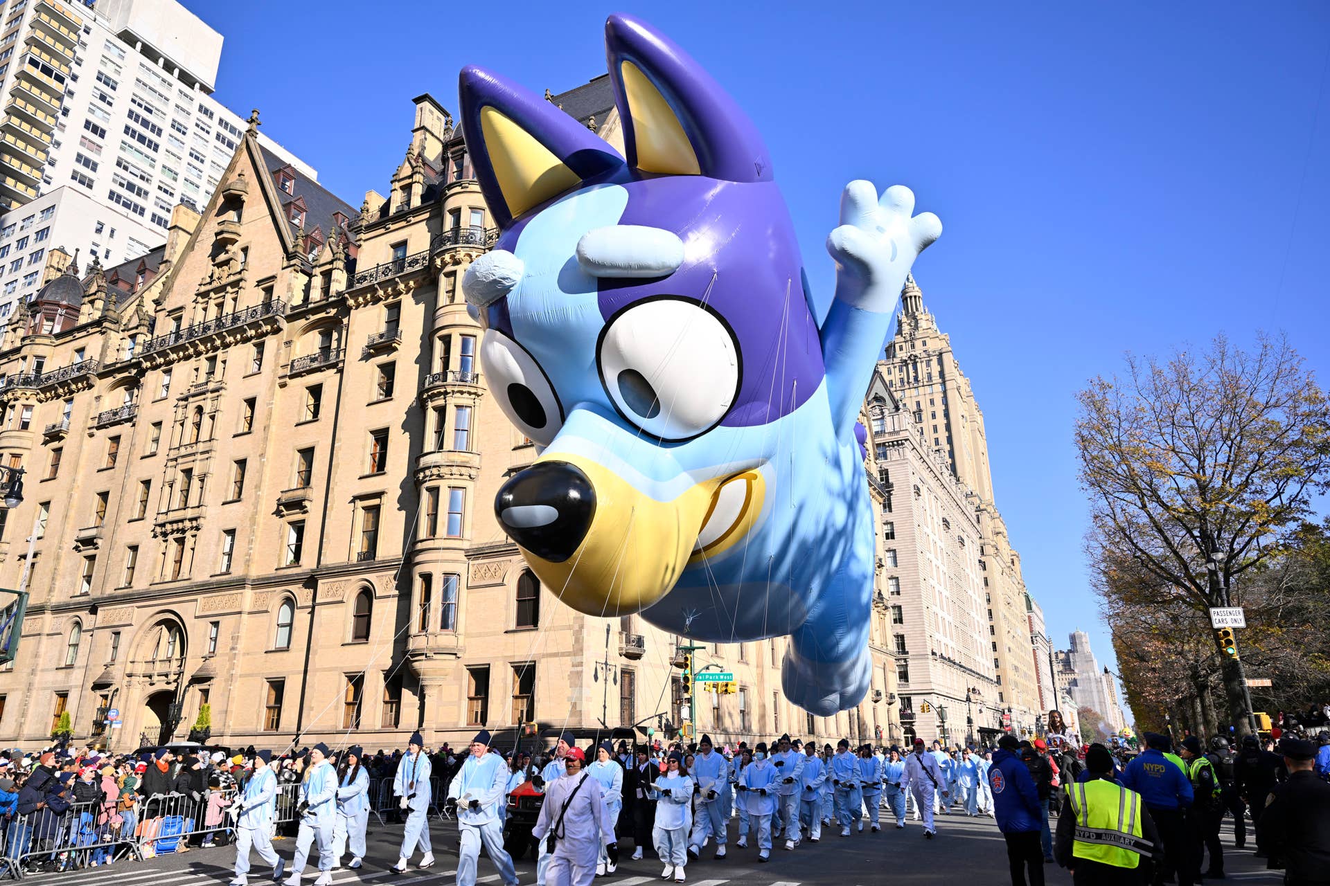'Bluey's Quest for the Gold Pen' Will Be Available Tomorrow, Written by ...