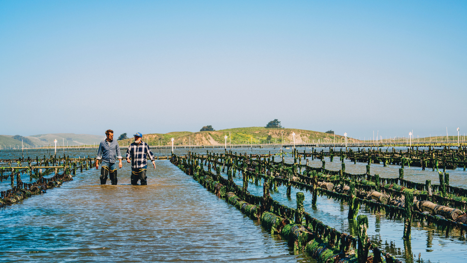 Tips From Seafood Experts Andrew Zimmern and Barton Seaver - Men's Journal