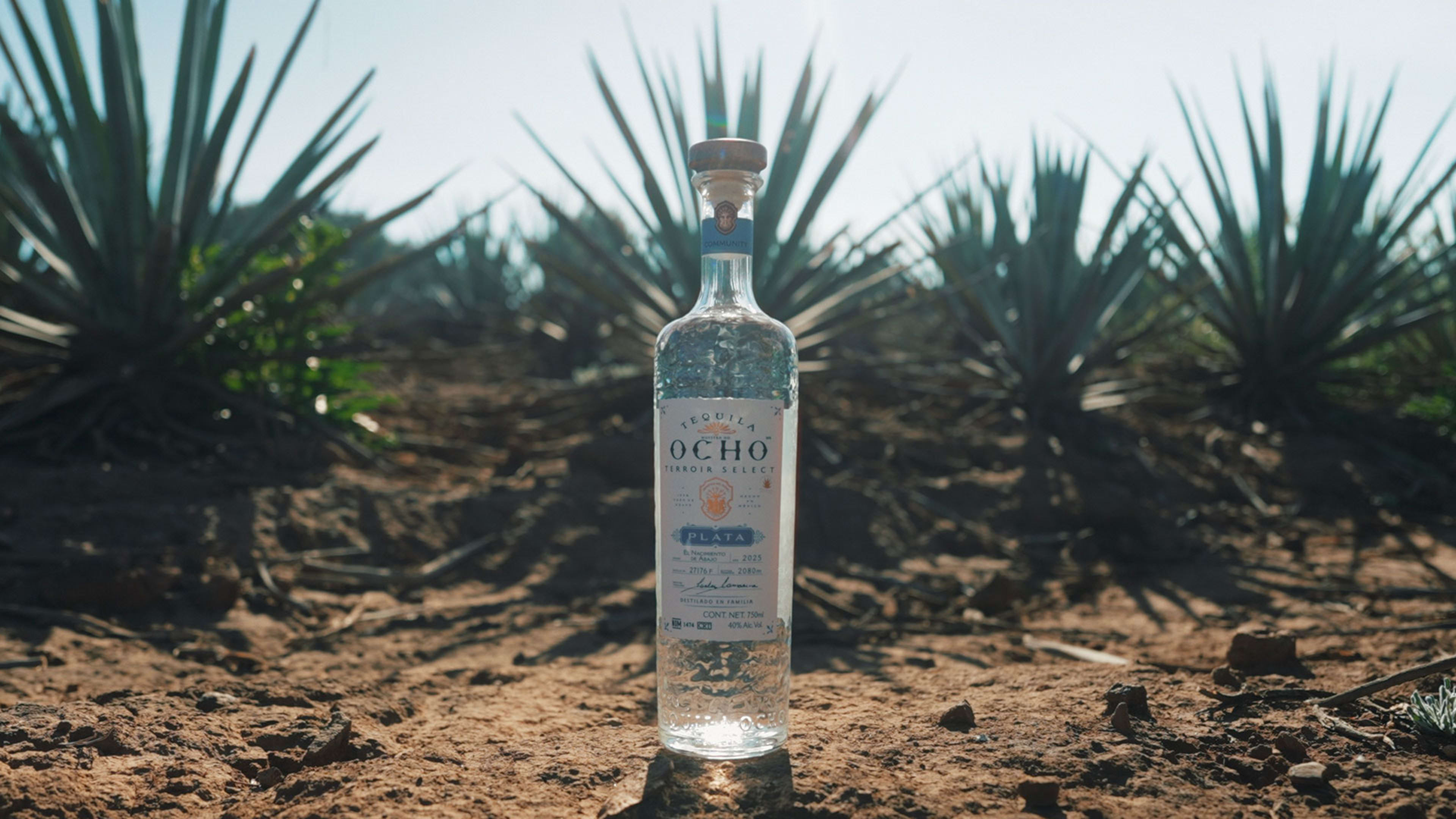 This New Tequila Ocho Could Change the Future of Tequila - Men's Journal