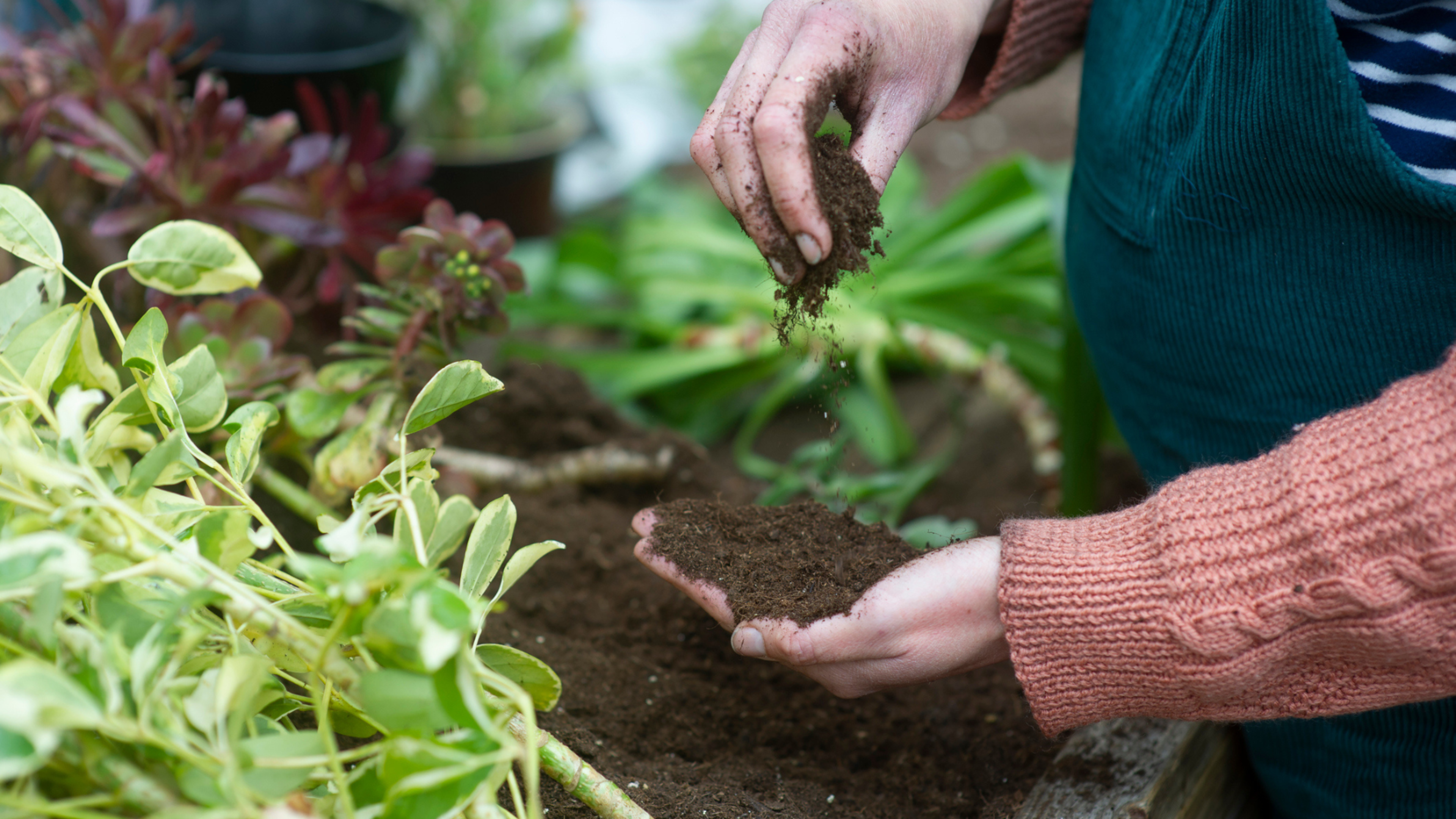 How to Compost at Home: A Beginner’s Guide - Men's Journal