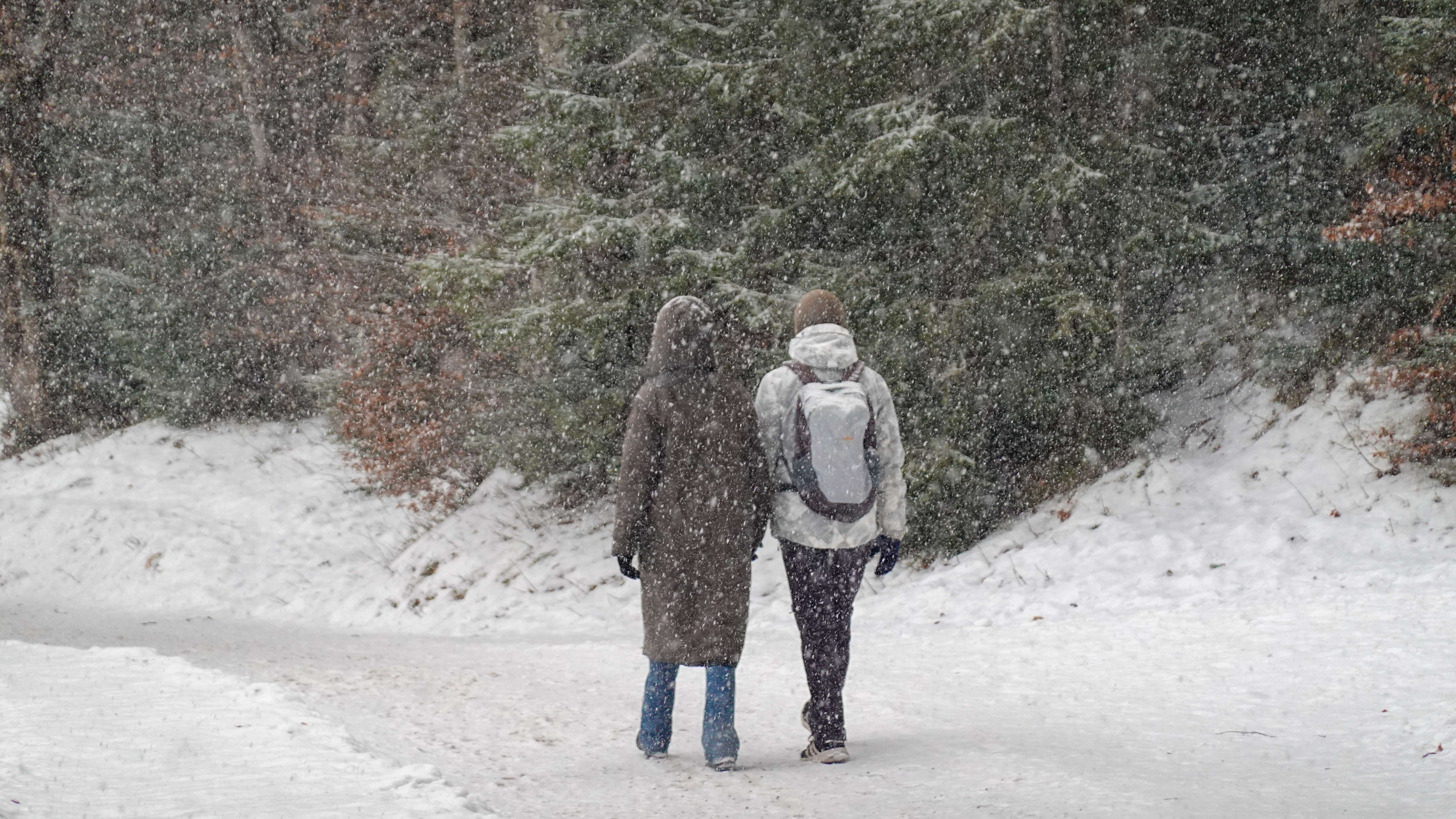 Woman and Her Dog Survive Frozen Lake Fall Thanks to a Tree Branch ...