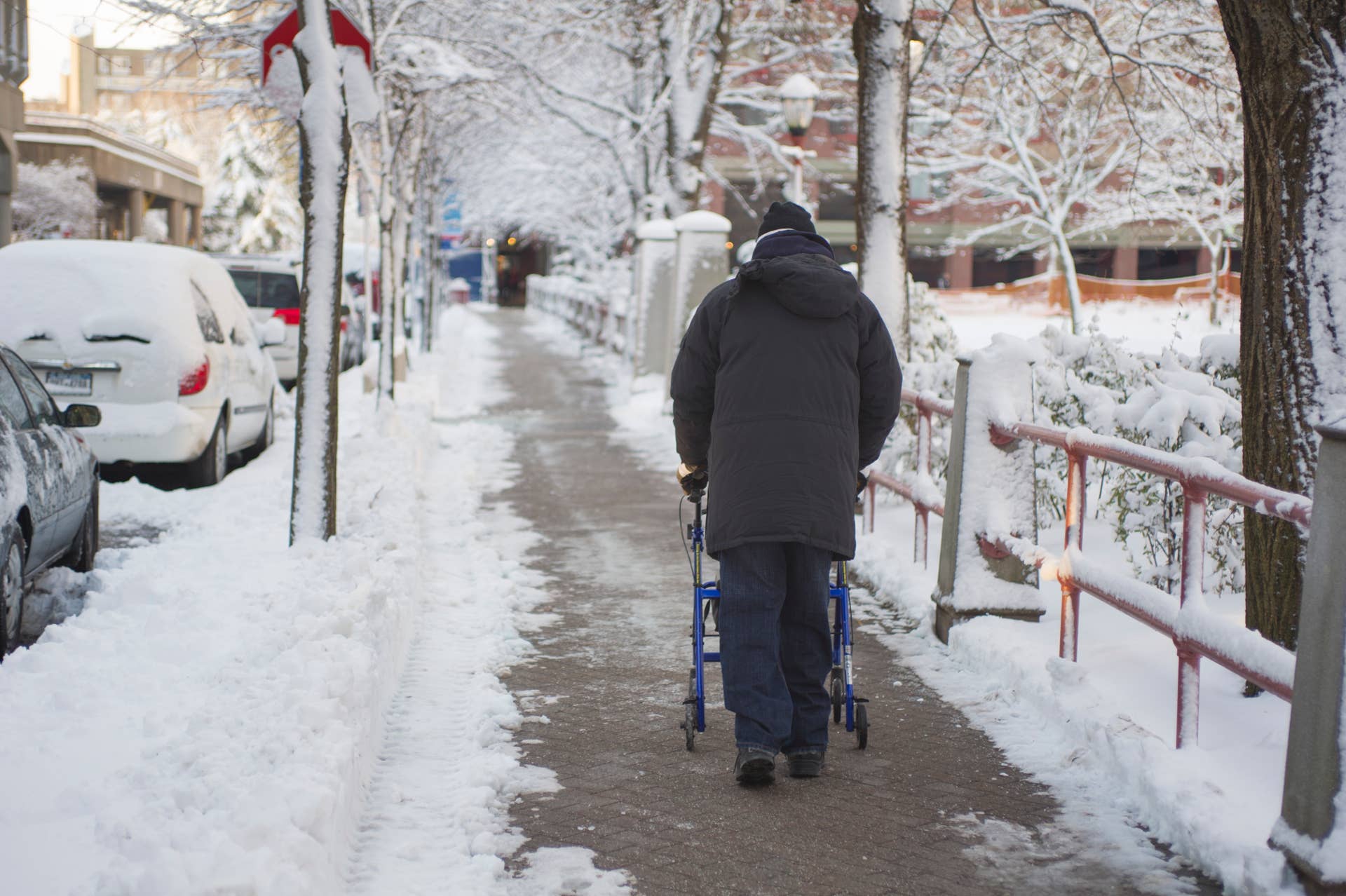 Extreme Cold Puts Older Adults at Risk—Expert Safety Advice (Exclusive ...